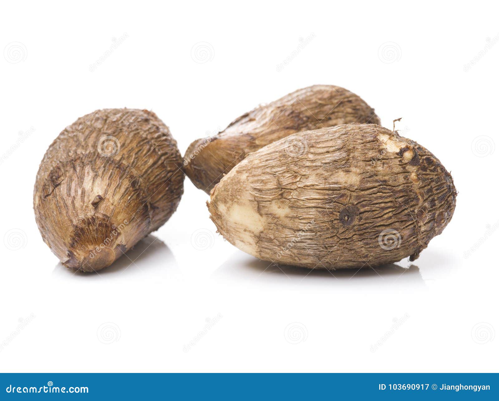 Taro roots stock image. Image of white, fresh, pulp - 103690917