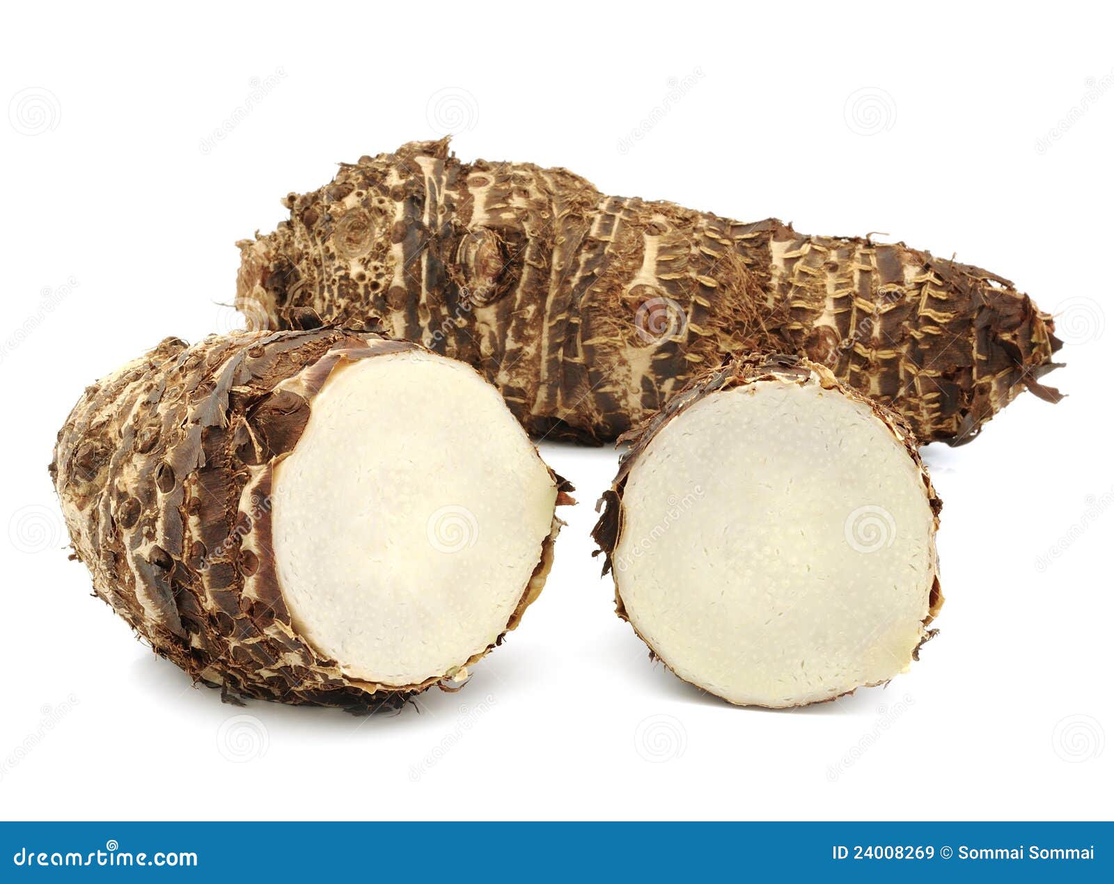 Taro roots on white stock image. Image of taros, isolated - 24008269