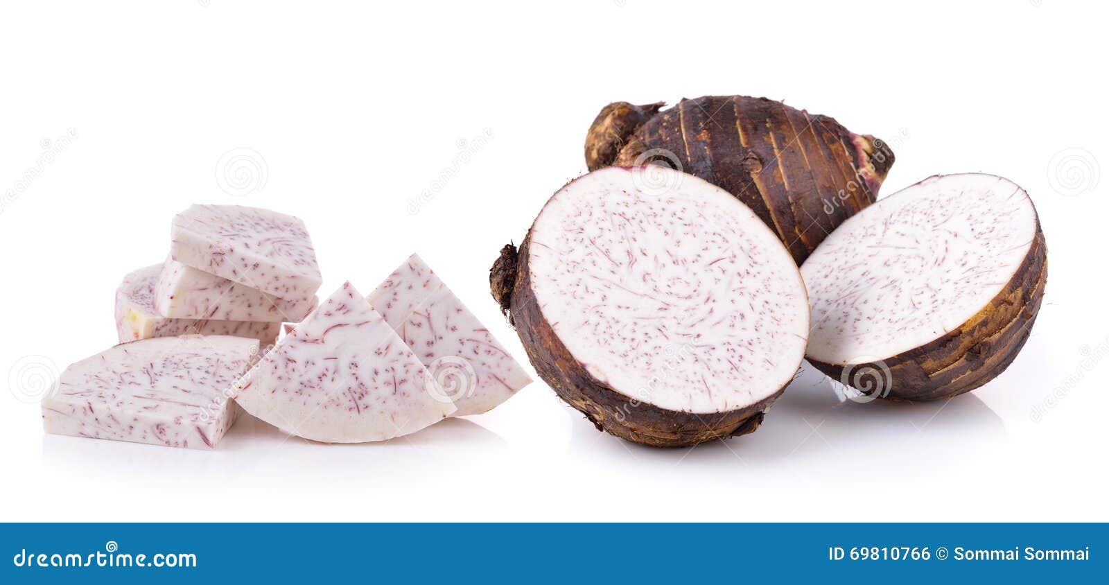 Taro Royalty-Free Stock Photo | CartoonDealer.com #24071601