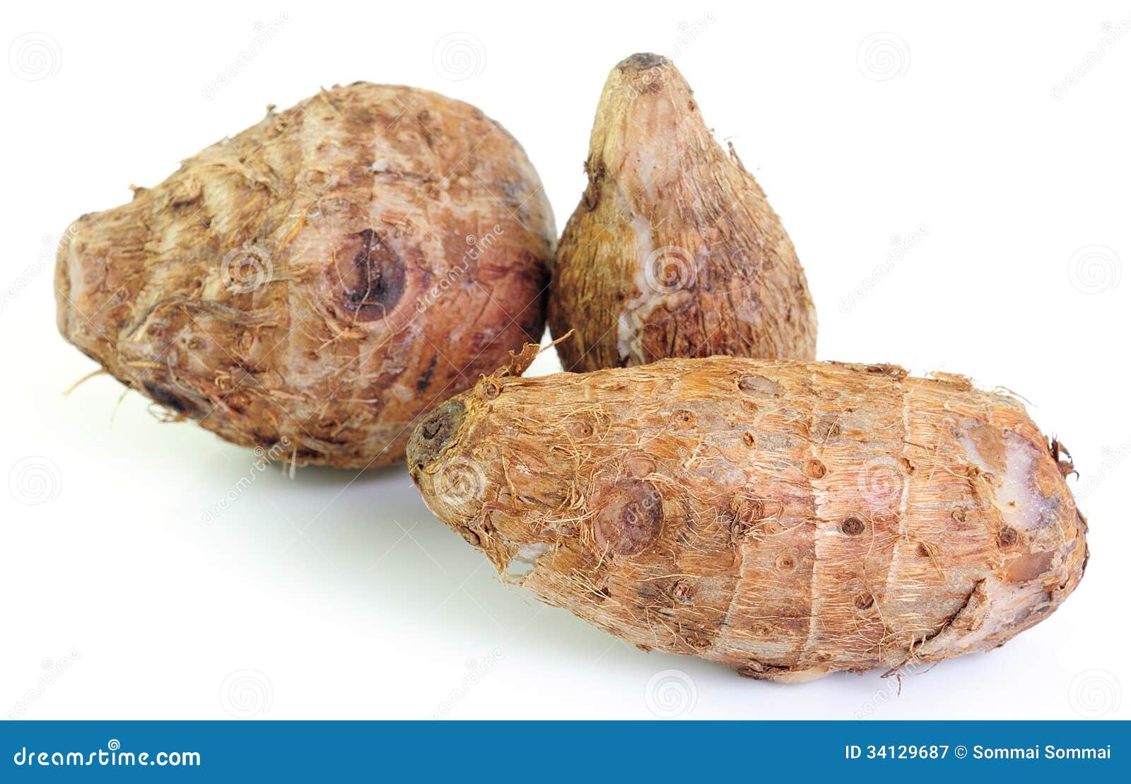 Taro Roots on White Background Stock Image - Image of corm, corms: 34129687