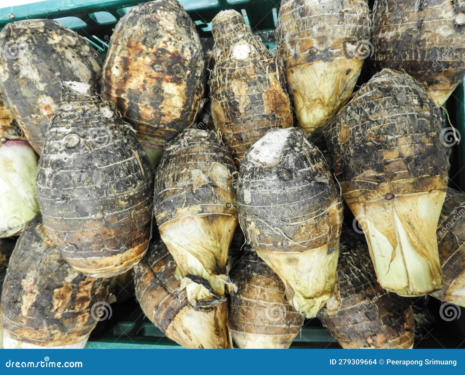 Taro, a Starchy Root Vegetable, is Beloved for Its Versatile Nature and ...