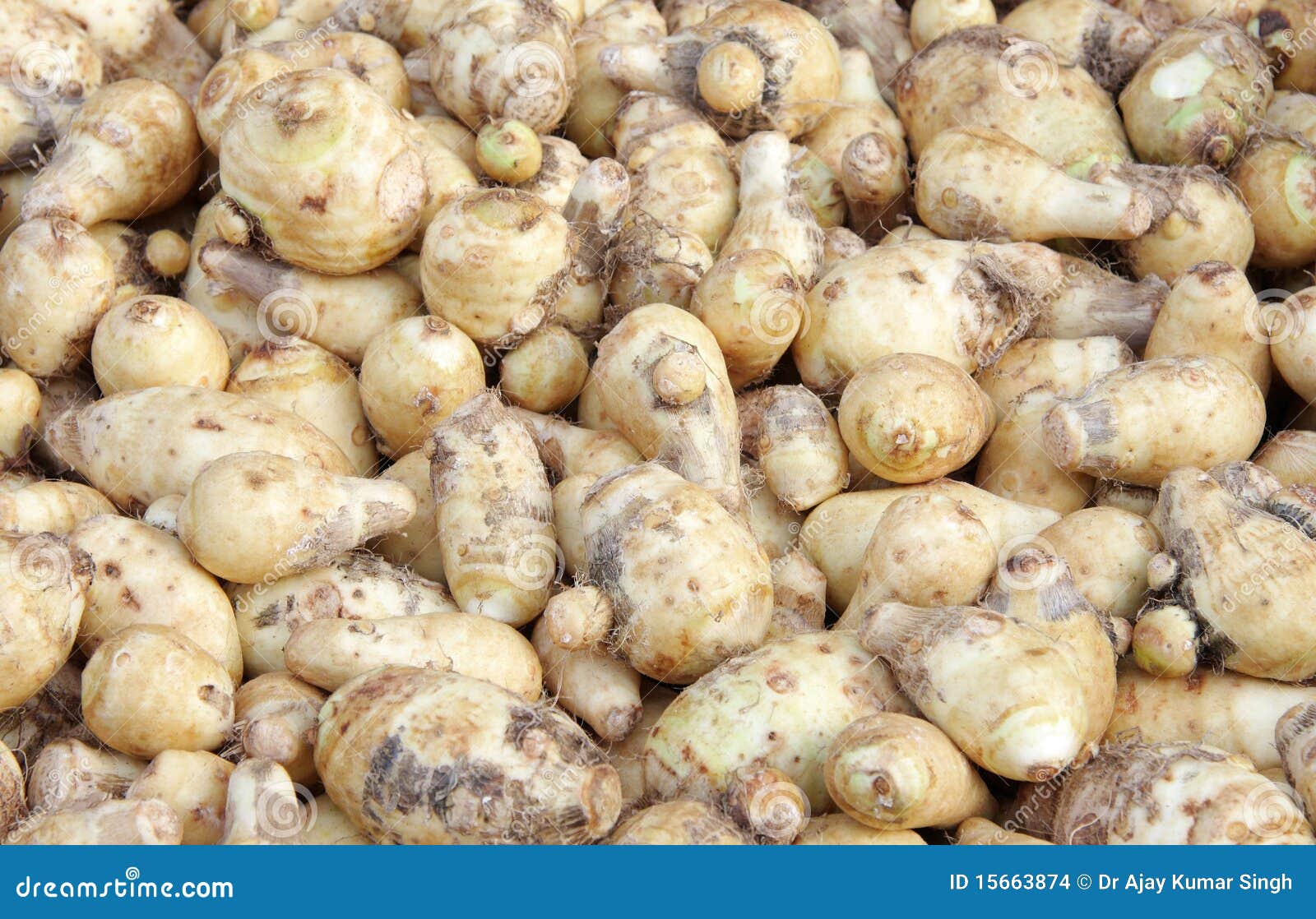 Taro vegetable stock photo. Image of nutritious, delicious - 15663874