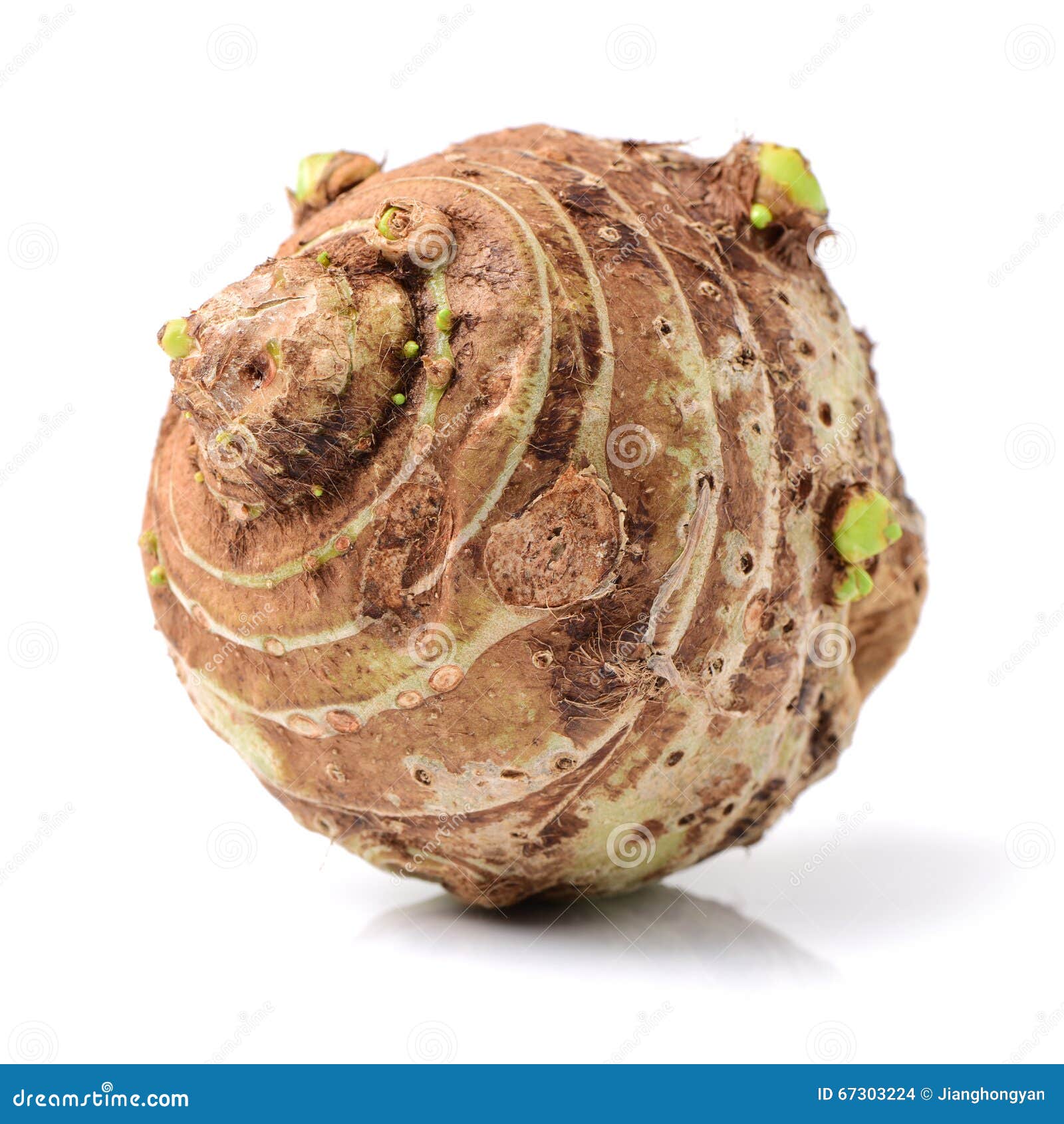 Taro stock photo. Image of clocking, taro, healthy, close - 67303224