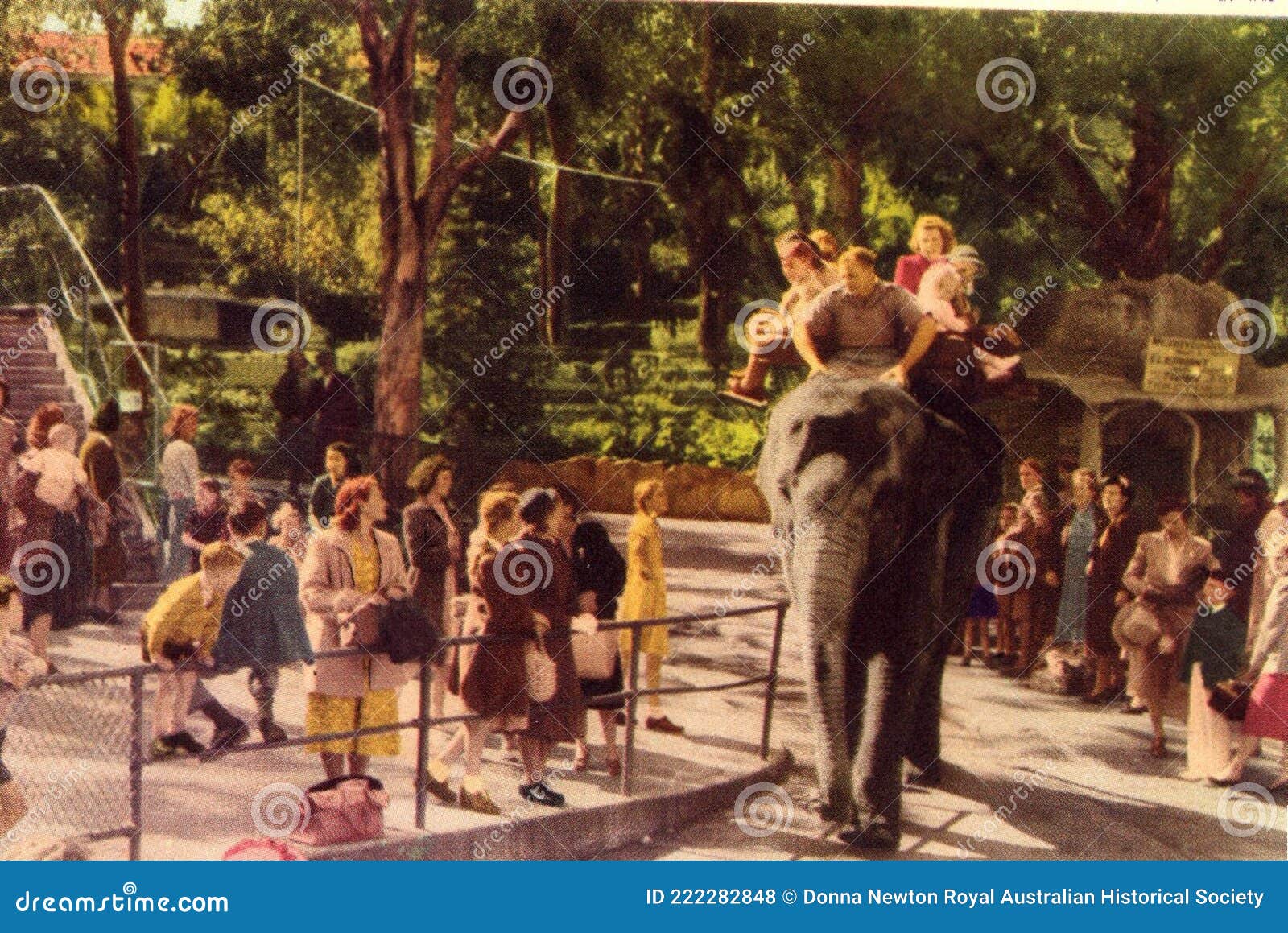 Taronga Park Zoo Picture. Image: 222282848