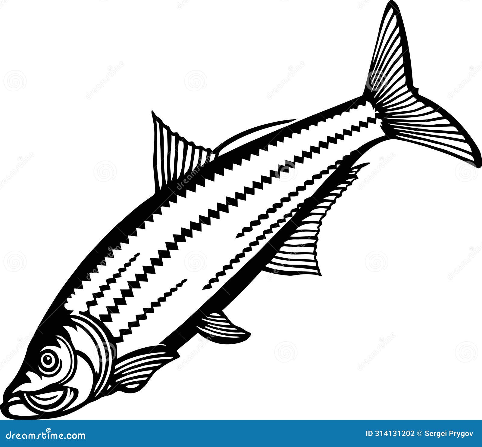 Tarpon - American Fishes - Logo Fish Vector, Fish Stencil Stock ...