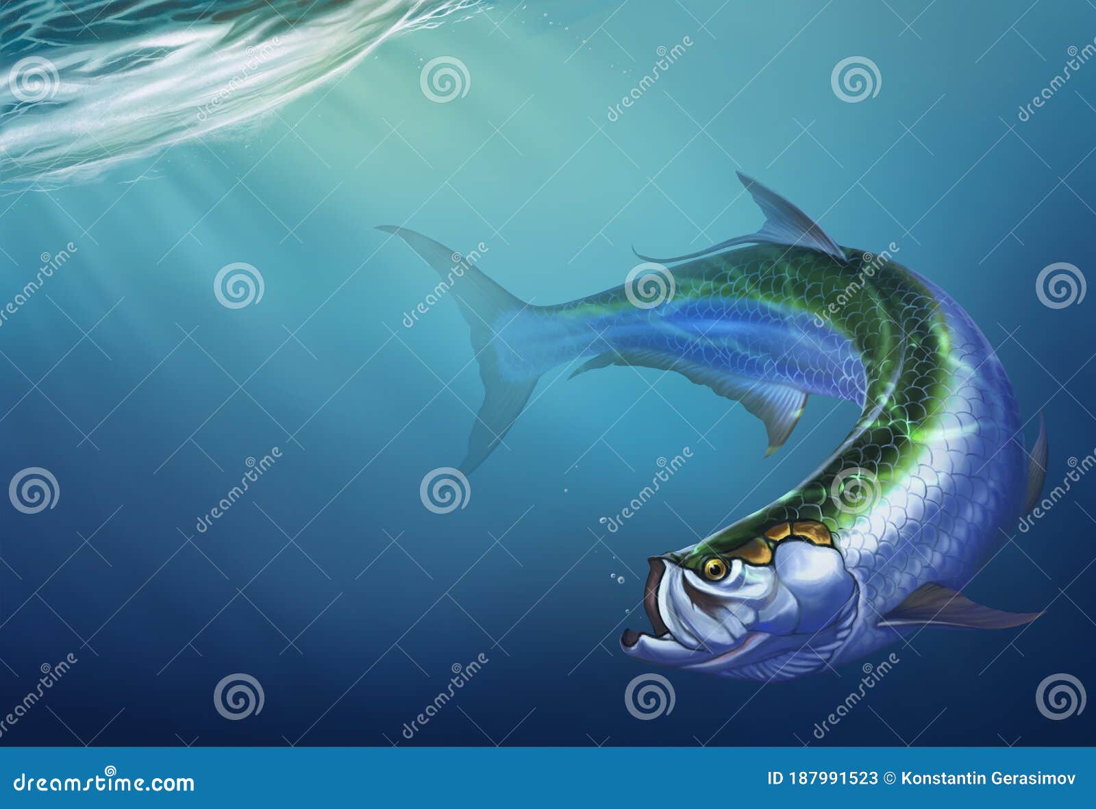 Tarpon Big Fish on Background. Stock Illustration - Illustration of ...