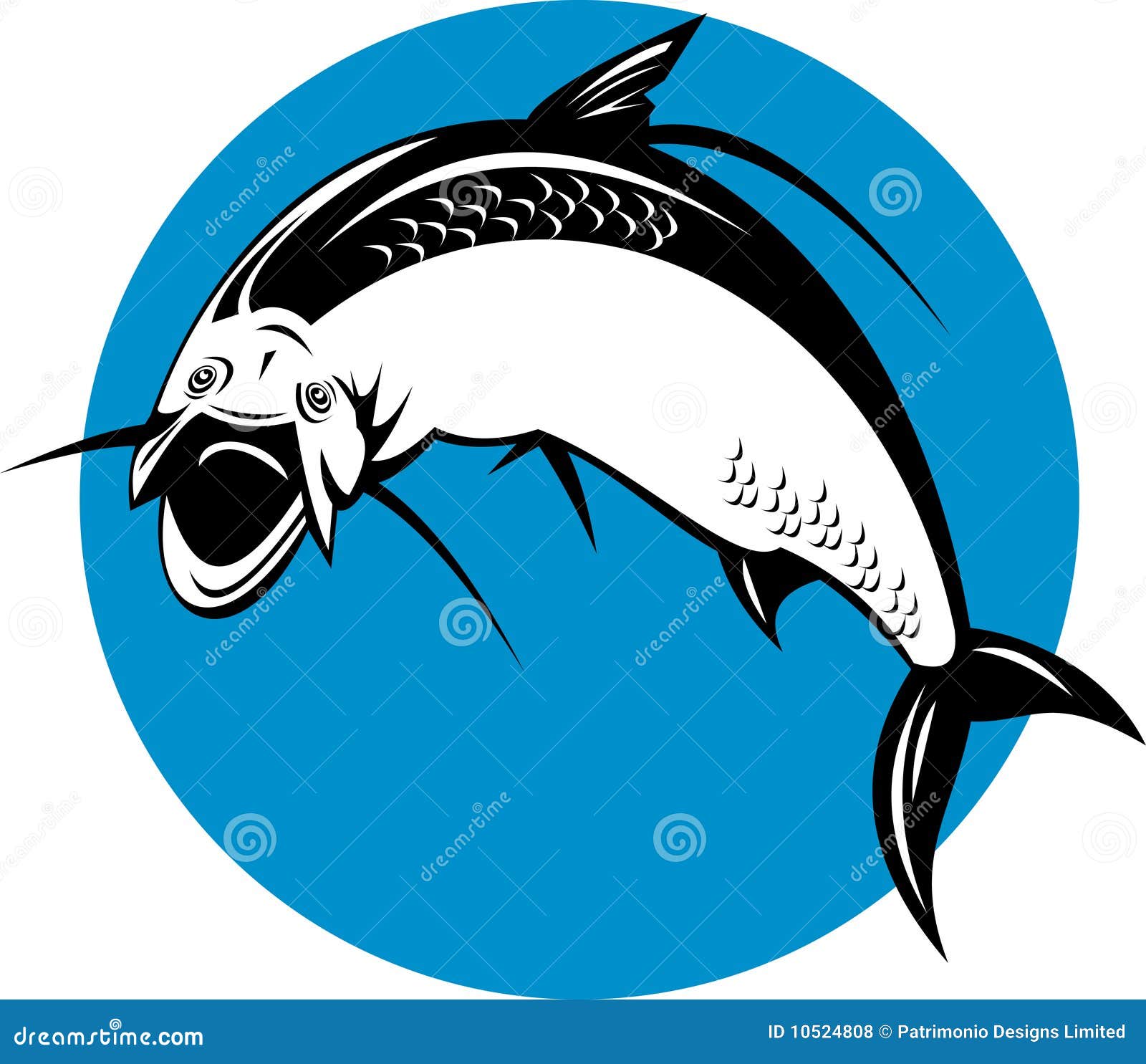 Tarpon fish jumping stock vector. Illustration of marine - 10524808