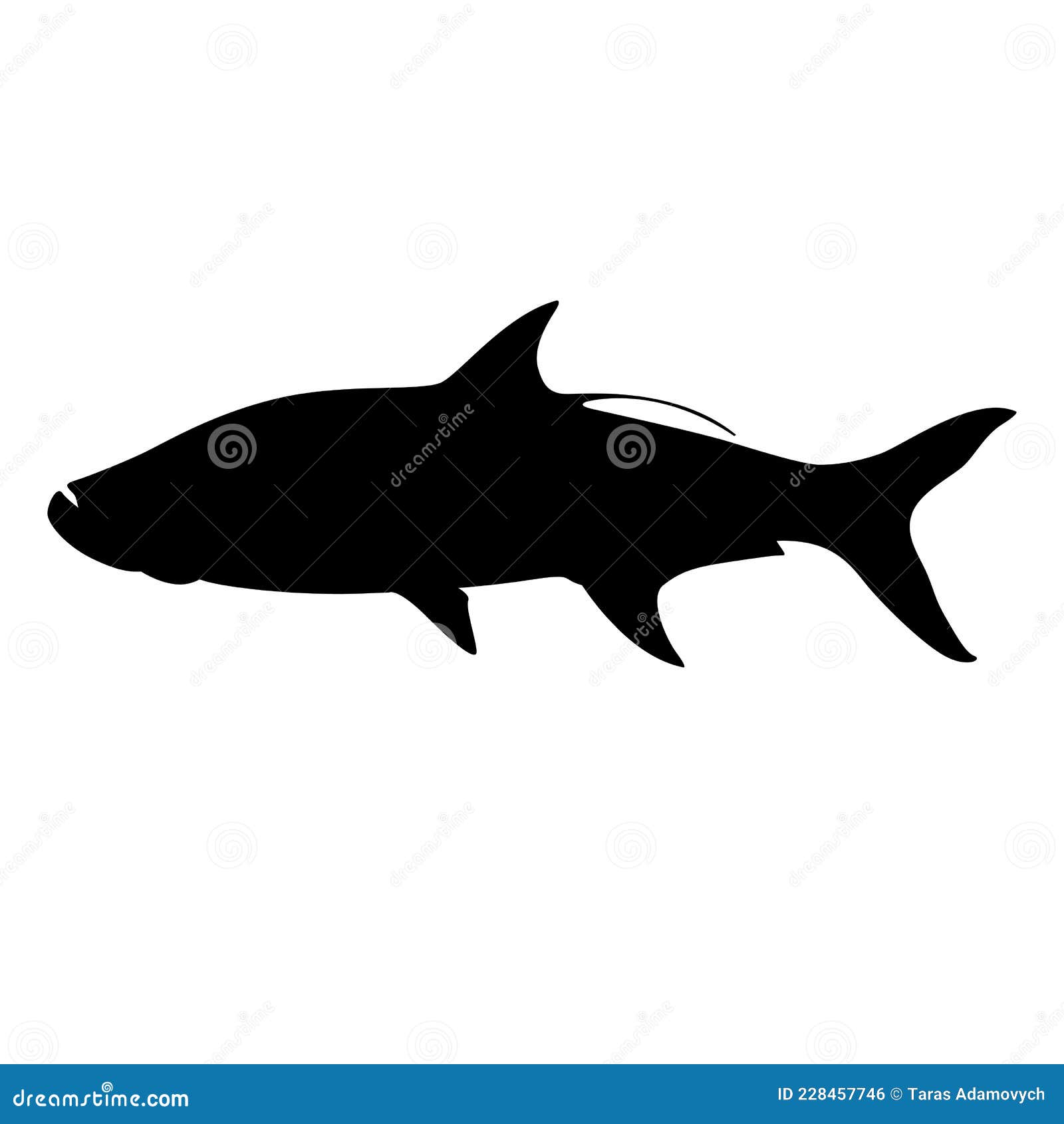 Tarpon Fish, Vector Illustration, Black Silhouette, Side Stock Vector ...
