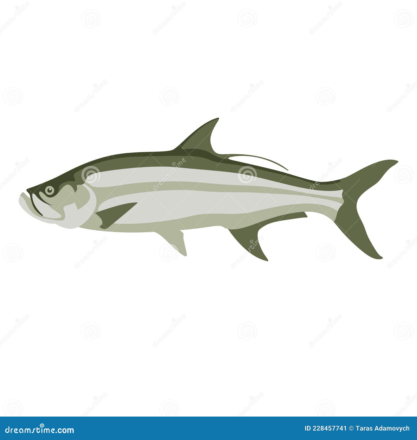Tarpon Fish, Vector Illustration, Flat Style, Side Stock Vector ...