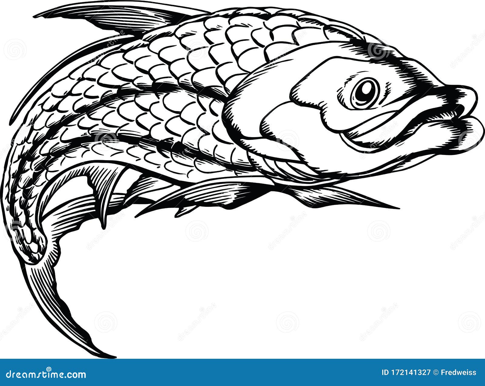 Tarpon Jumping Vector Illustration Stock Vector - Illustration of life ...