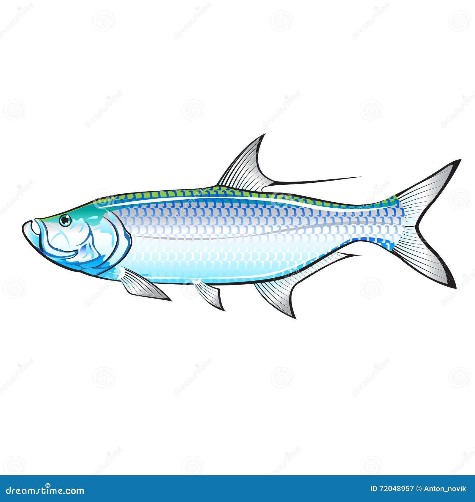 Tarpon Ocean Gamefish Illustration Vector Stock Vector - Illustration ...