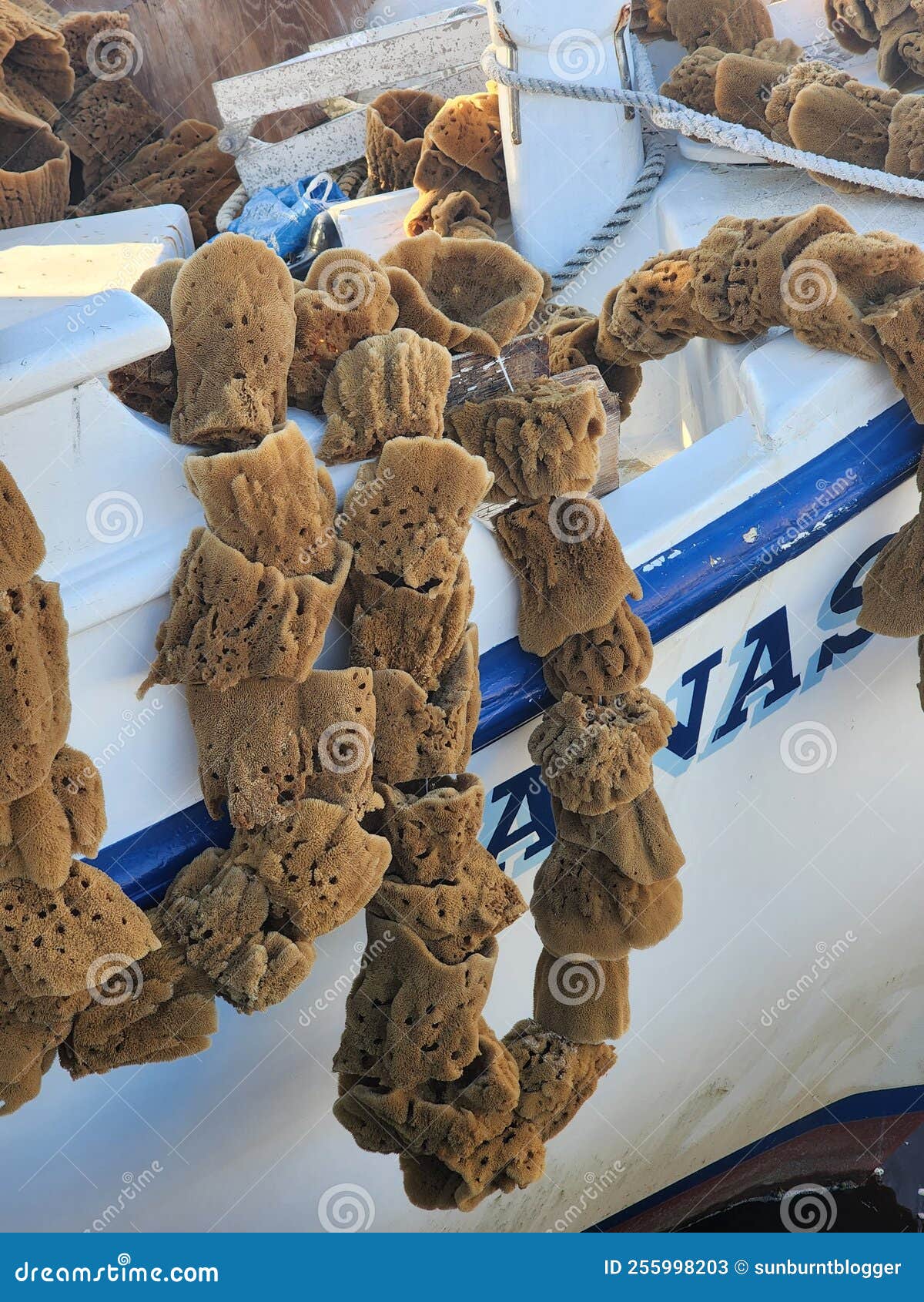 Tarpon Springs Esponge Docks Foto de archivo editorial - Imagen de ...