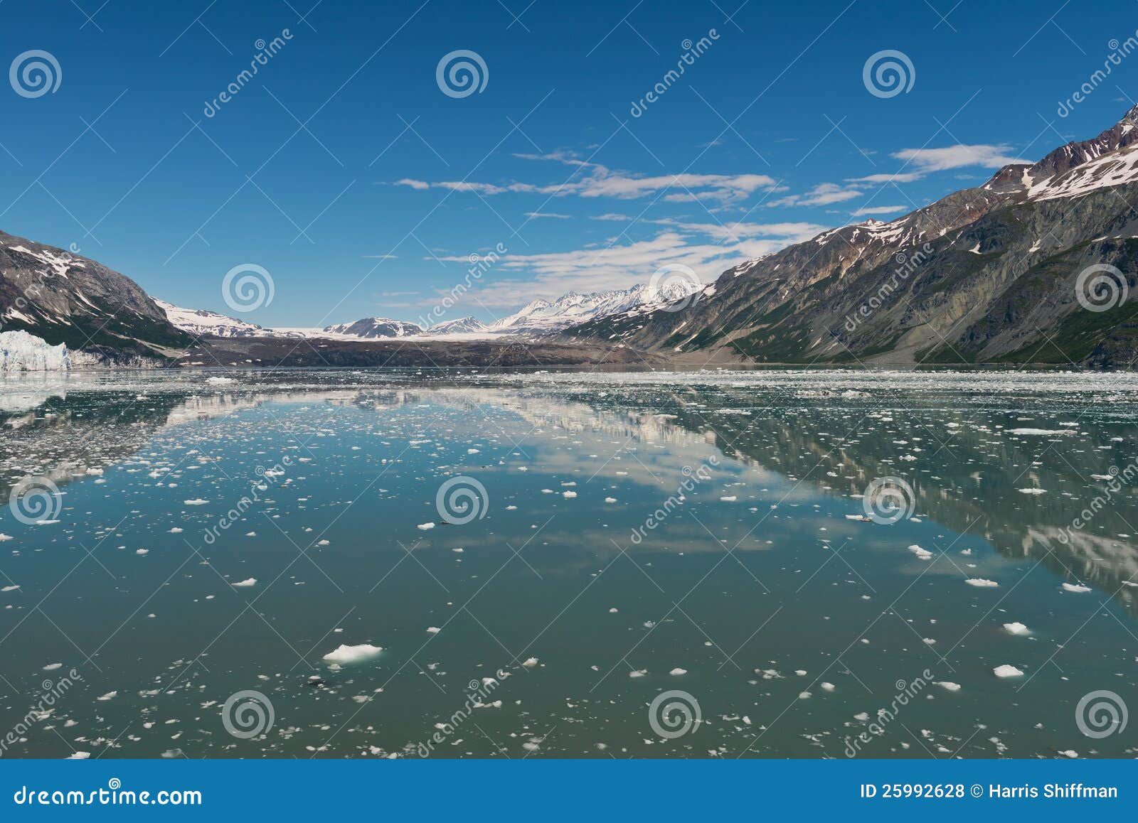 Tarr Inlet stock photo. Image of conifers, glacier, tarr - 25992628