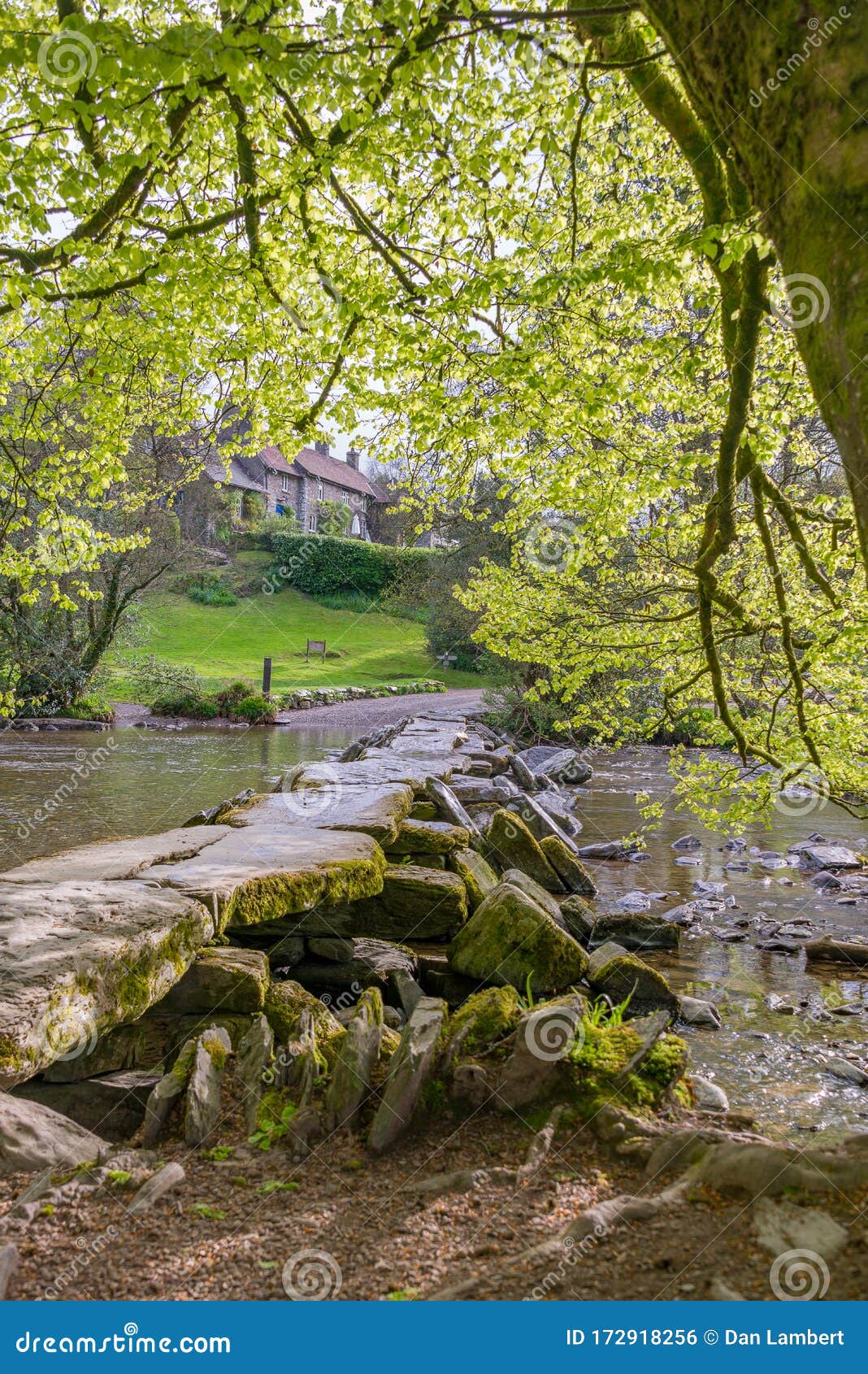 Tarr Steps in Devon South West England Editorial Photo - Image of ...
