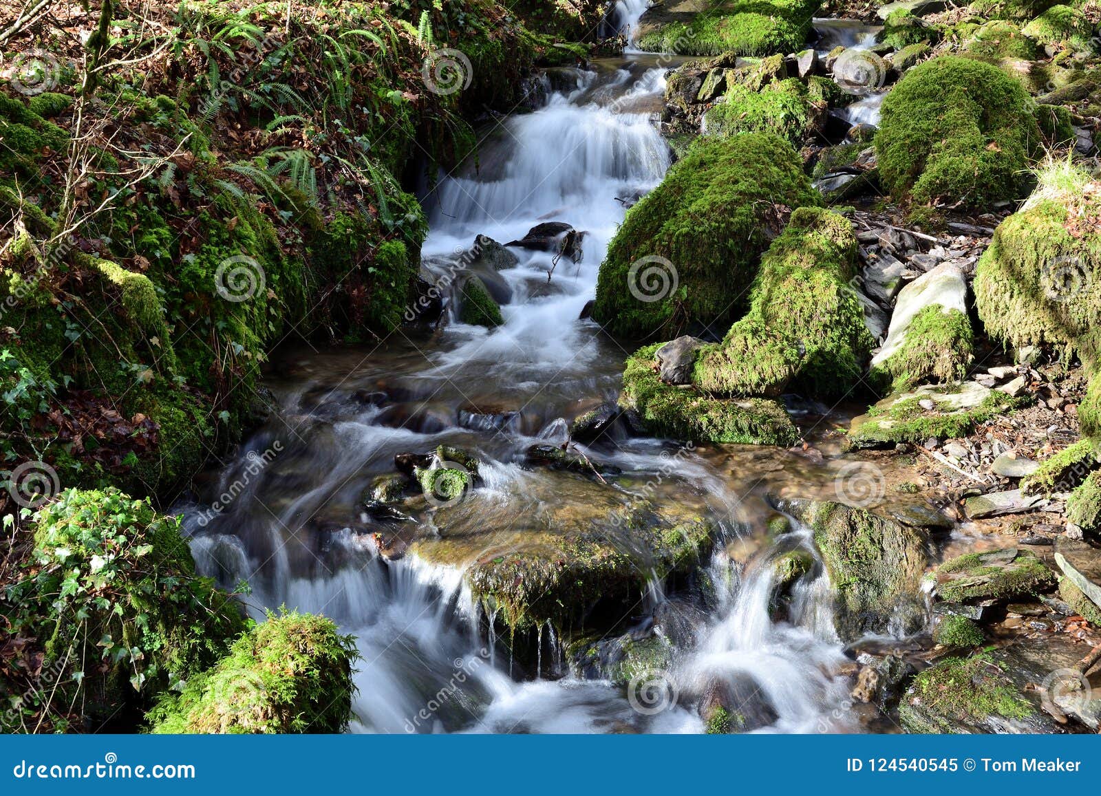 Tarr steps in Devon stock image. Image of colour, flowing - 124540545