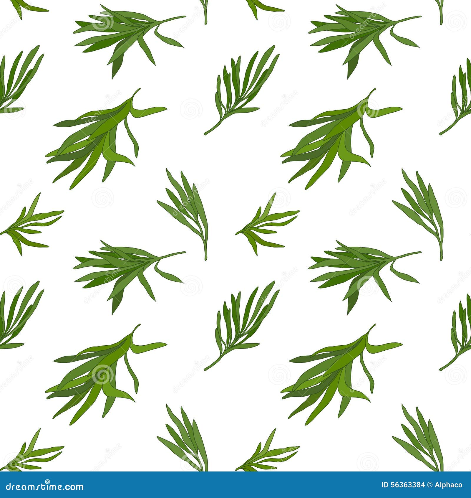 Tarragon Pattern Vector Illustration | CartoonDealer.com #56363384