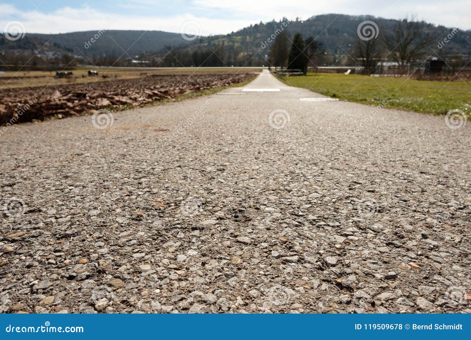 Tarred Road in Landscape with Backlight Stock Photo - Image of spring ...