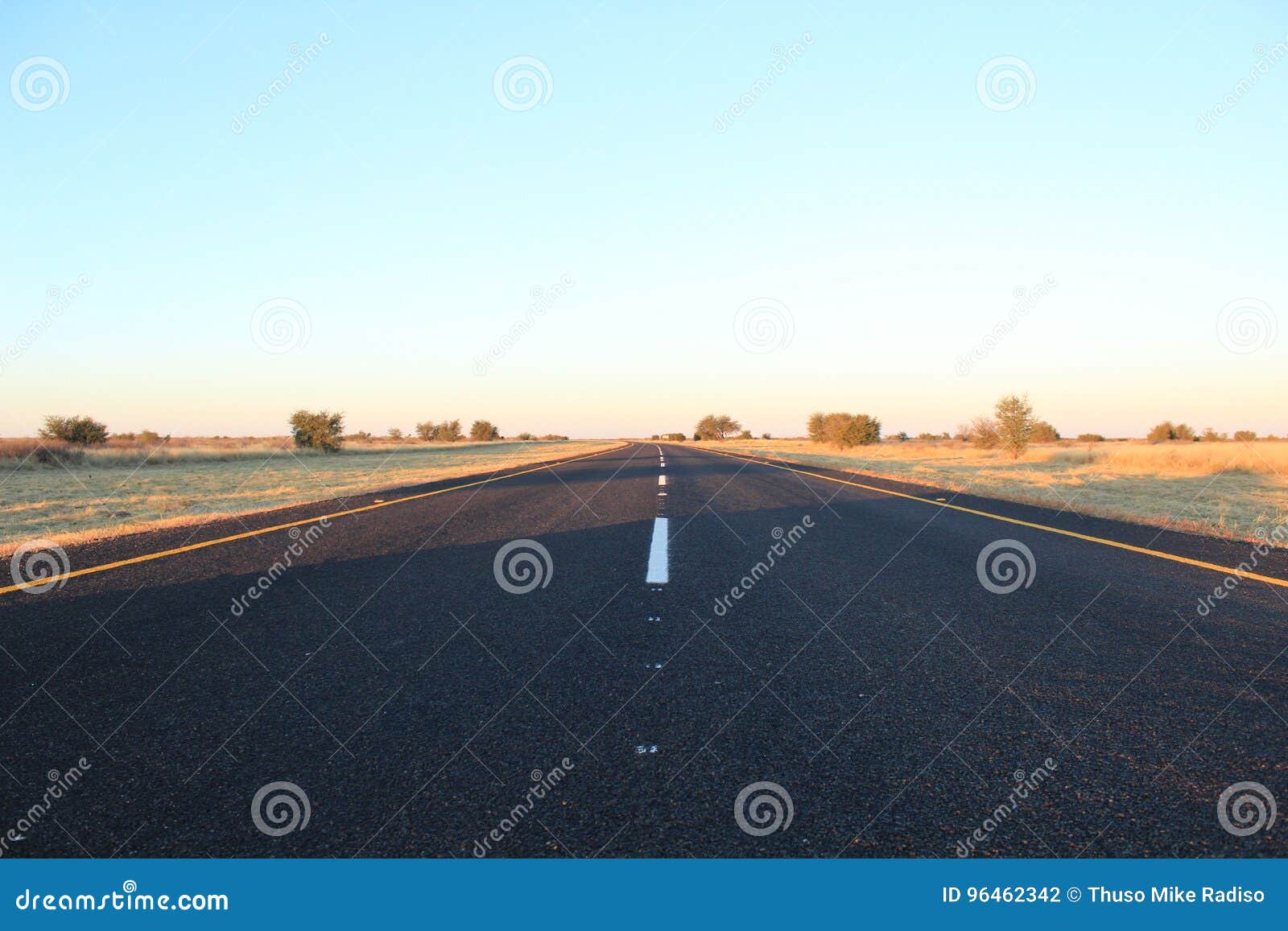 TARRED ROAD stock photo. Image of white, perspecticve - 96462342