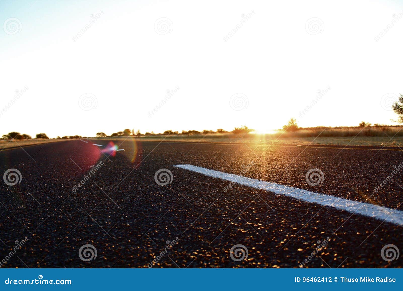 TARRED ROAD at SUNSET stock photo. Image of white, road - 96462412