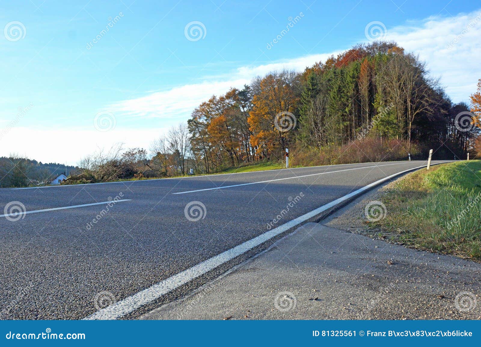 Tarred road stock image. Image of close, empty, trees - 81325561
