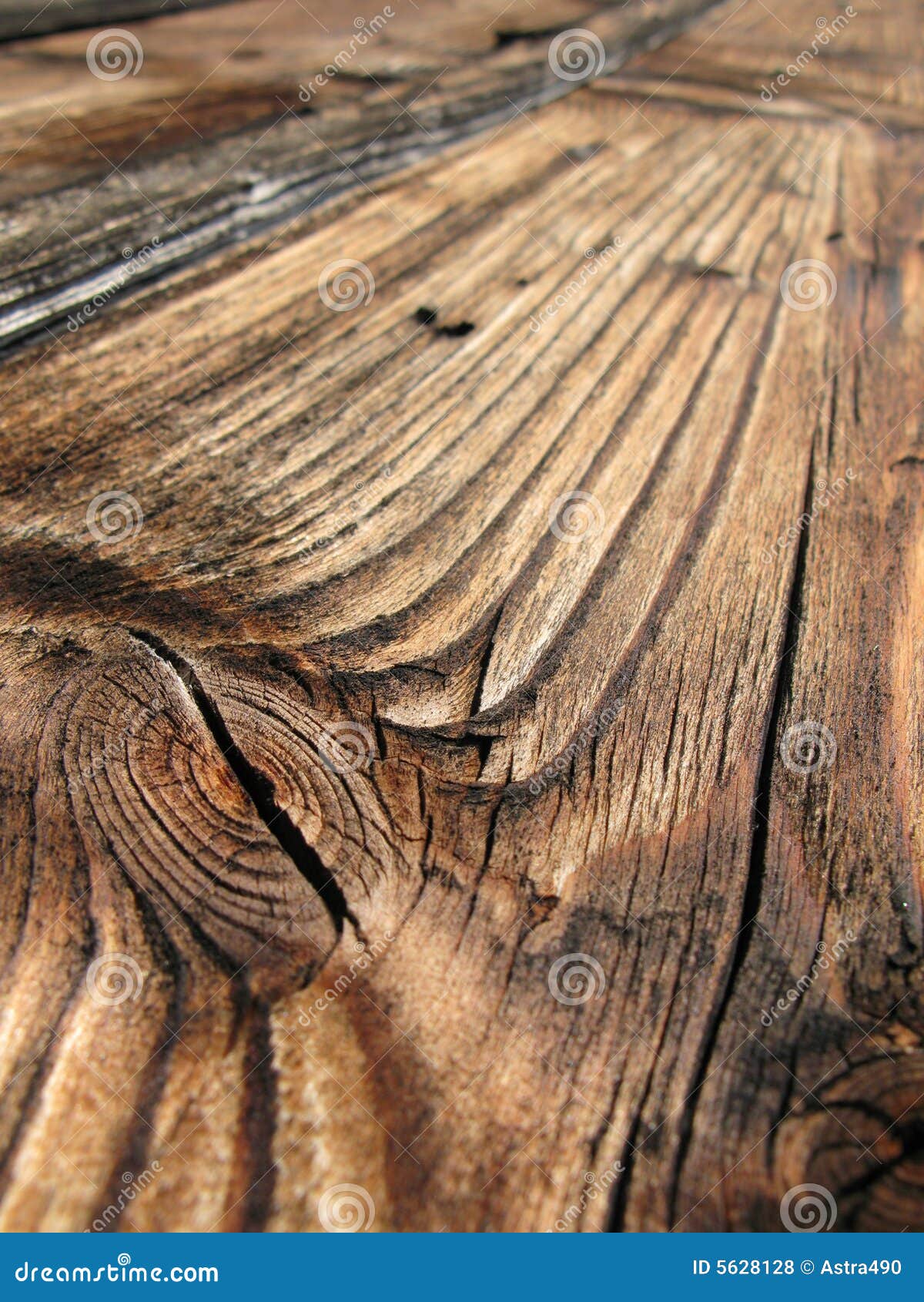 Tarred Wood Picture. Image: 5628128