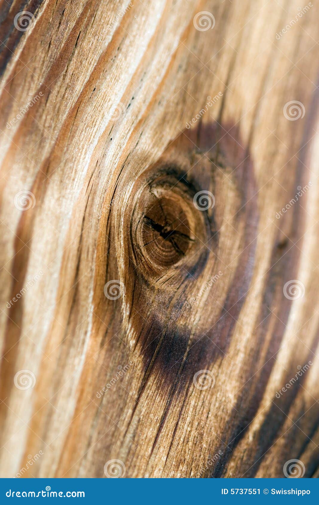 Tarry wooden texture stock image. Image of grained, macro - 5737551