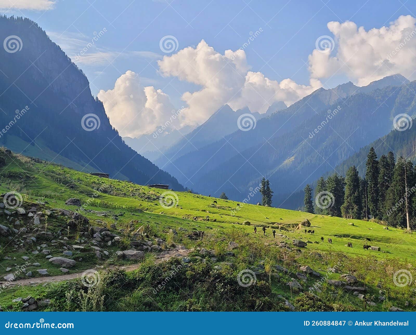 Tarsar Marsar Trek stock image. Image of hill, gulmarg - 260884847