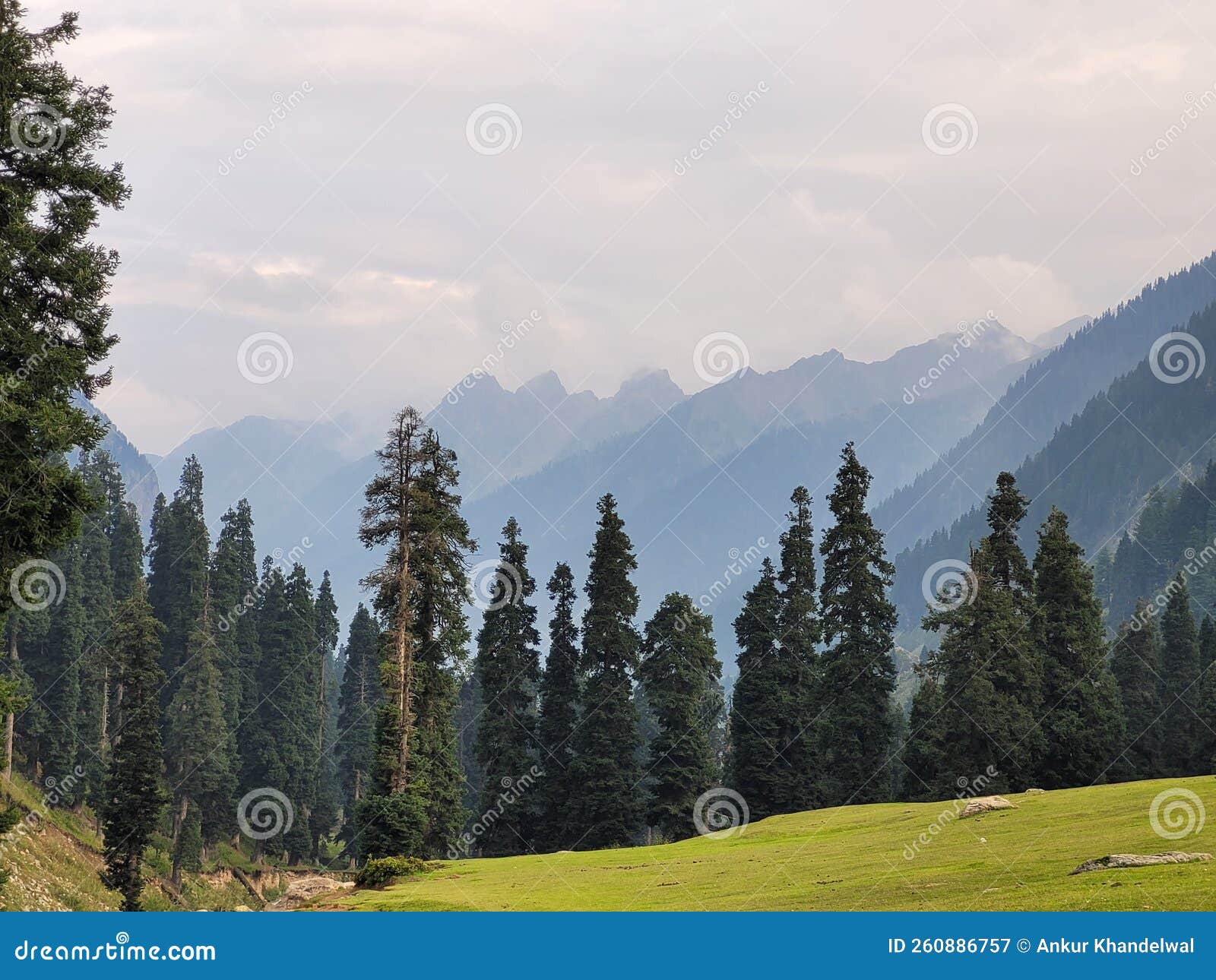 Tarsar Marsar Trek stock image. Image of mountain, field - 260886757