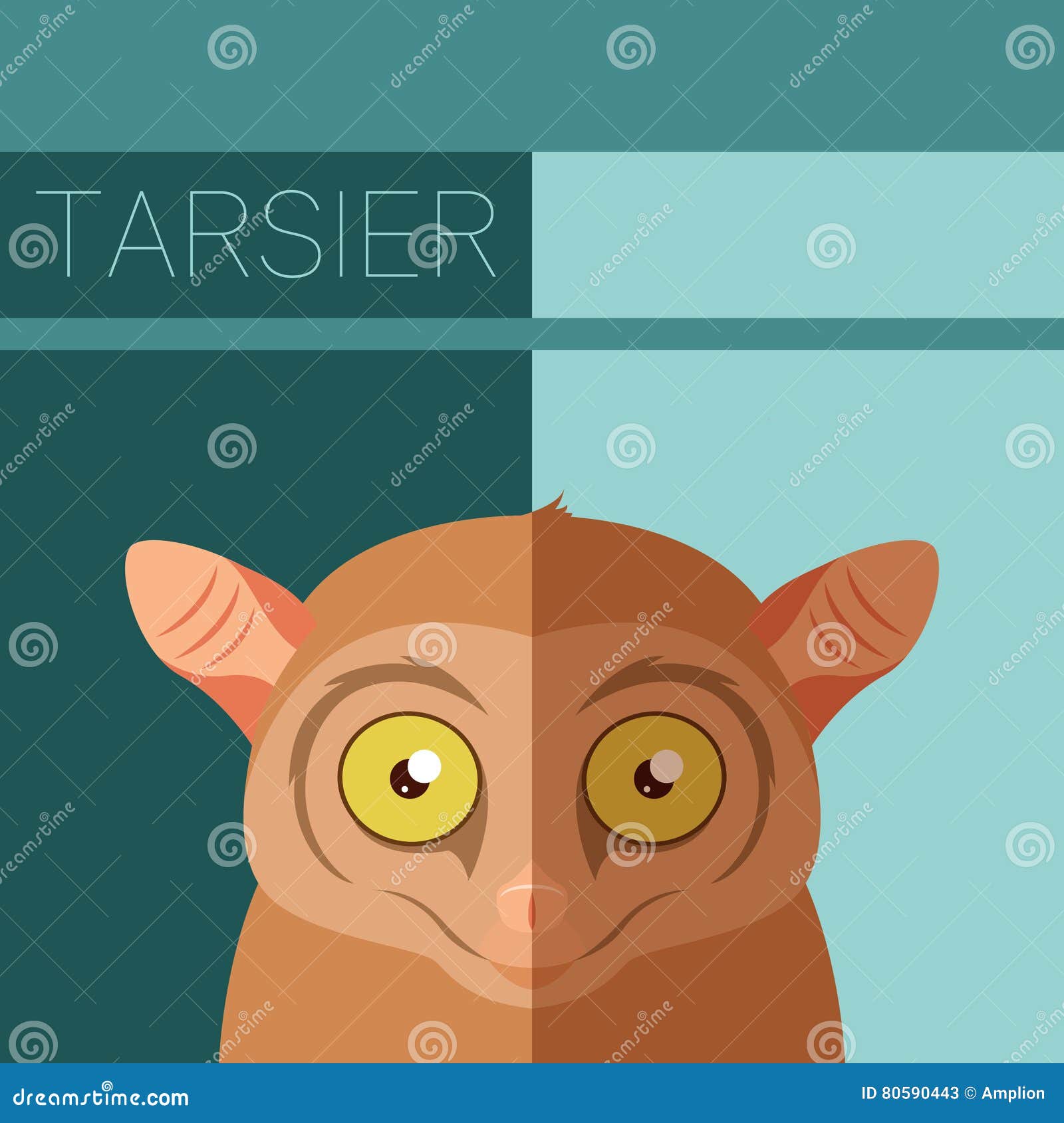Tarsier Flat Postcard Cartoon Vector | CartoonDealer.com #80590443