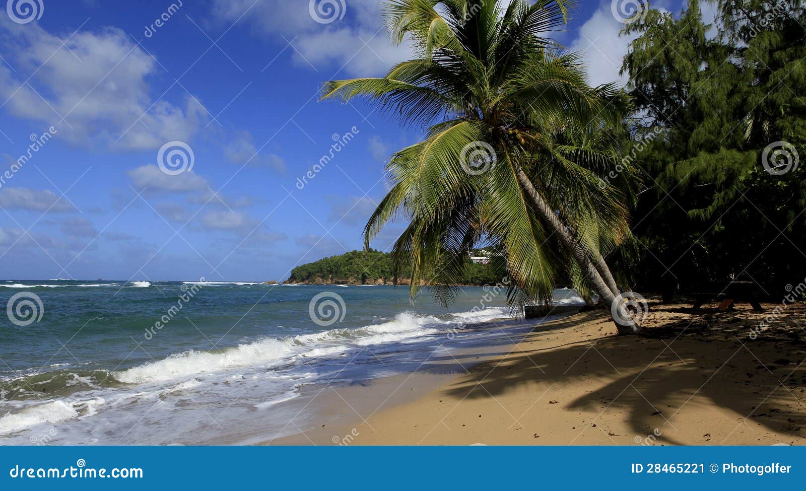 Tartane beach, Martinique stock image. Image of antilles - 28465221