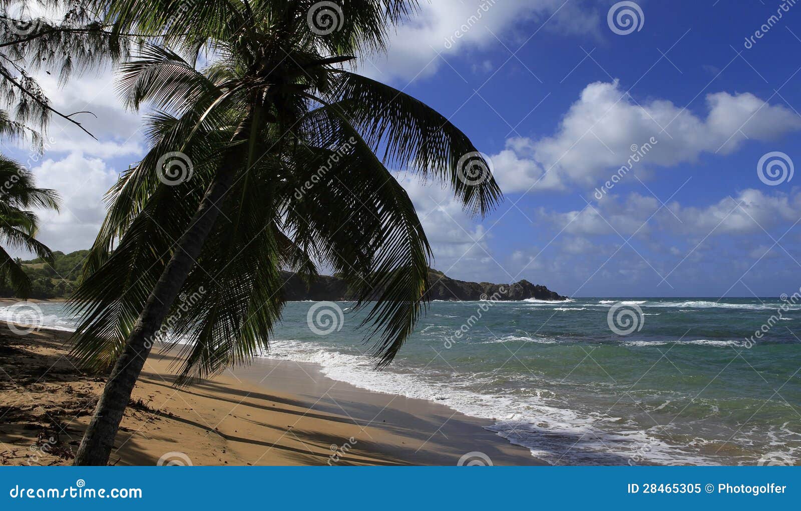 Tartane beach, Martinique stock image. Image of ocean - 28465305