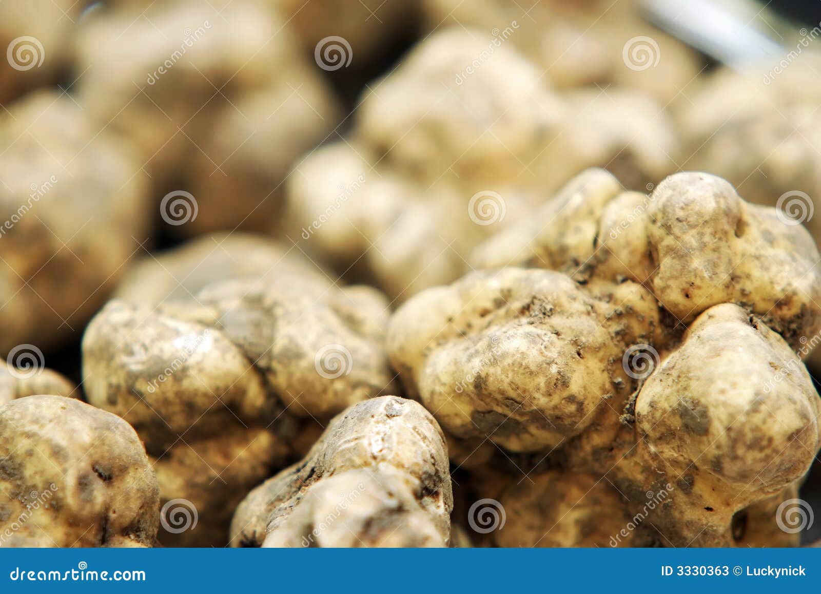 Tartuffes stock image. Image of background, livade, abstract - 3330363