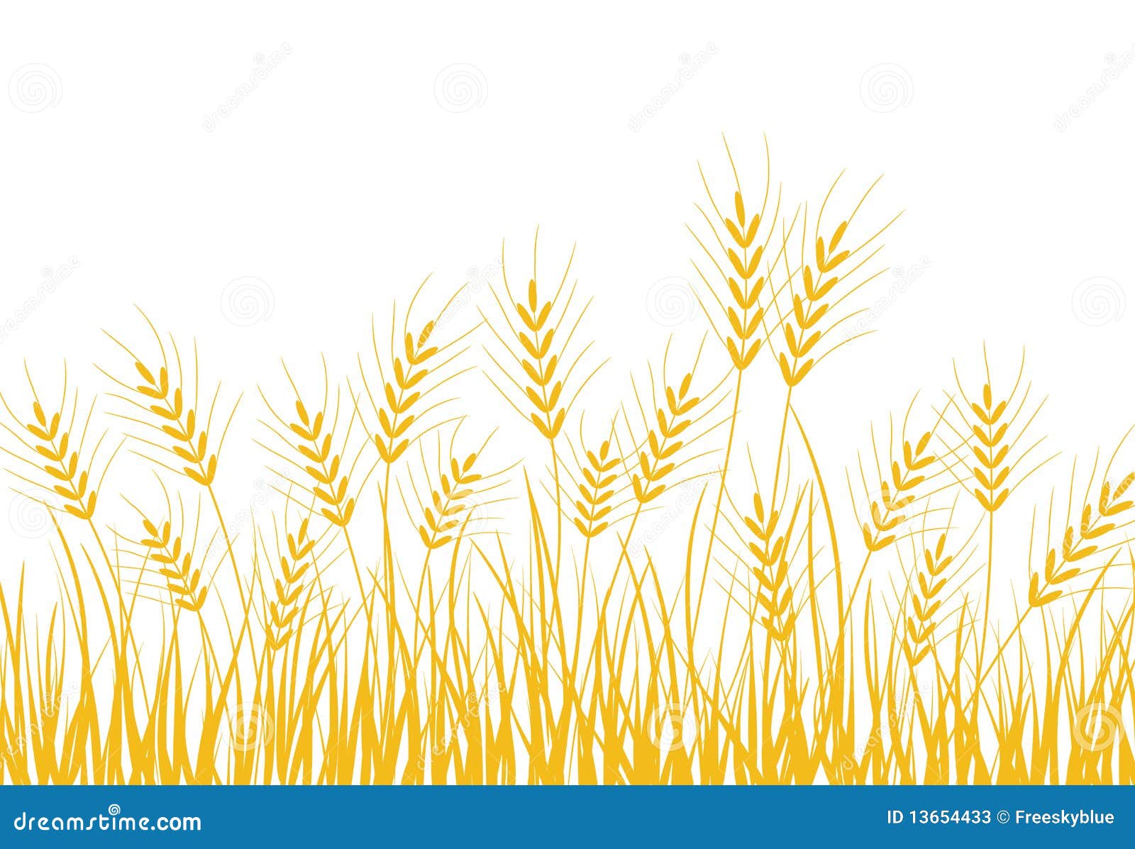 Tarwe stock illustratie. Illustration of graangewas, korrel - 13654433