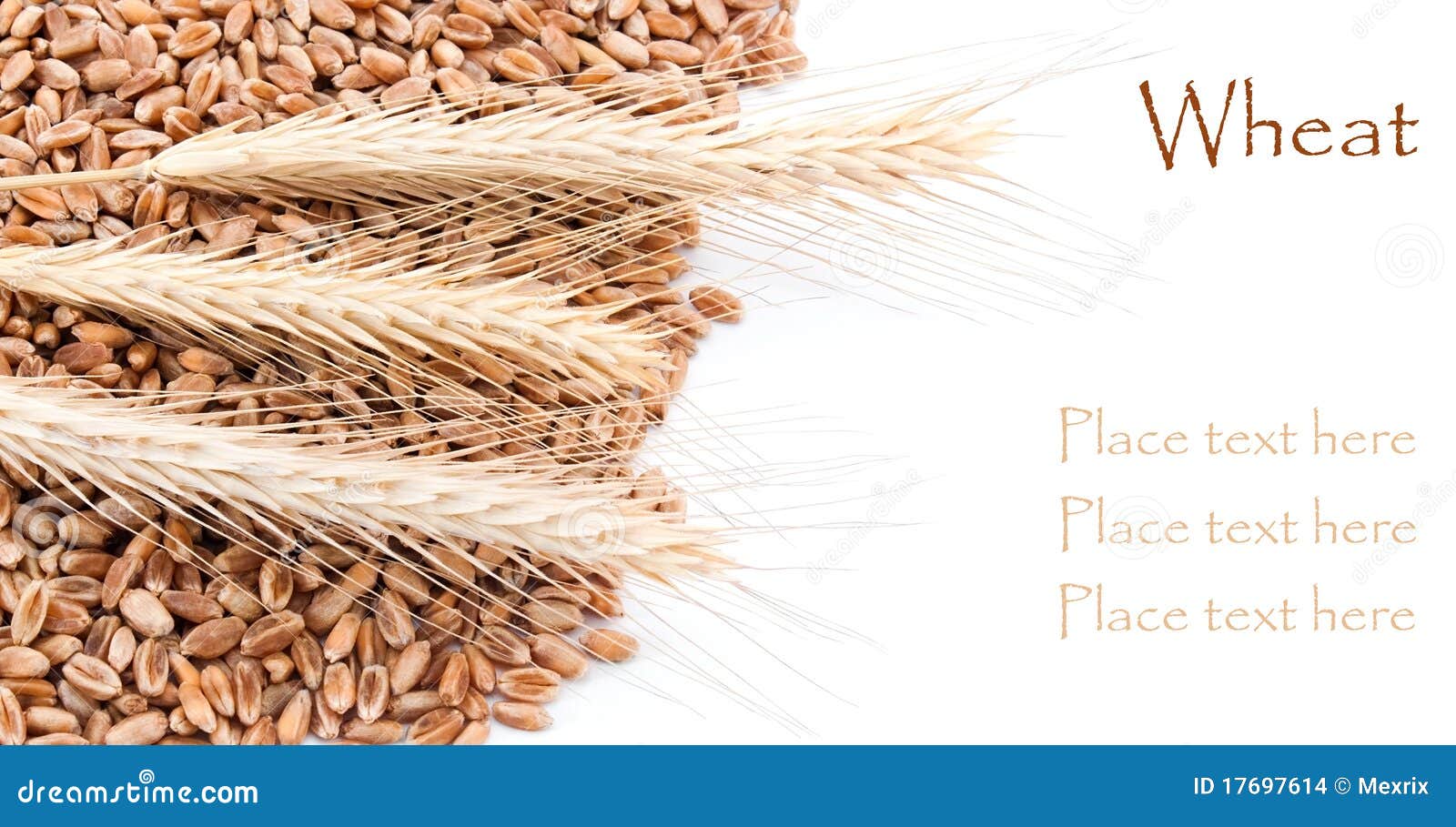 Tarwe Picture. Image: 17697614