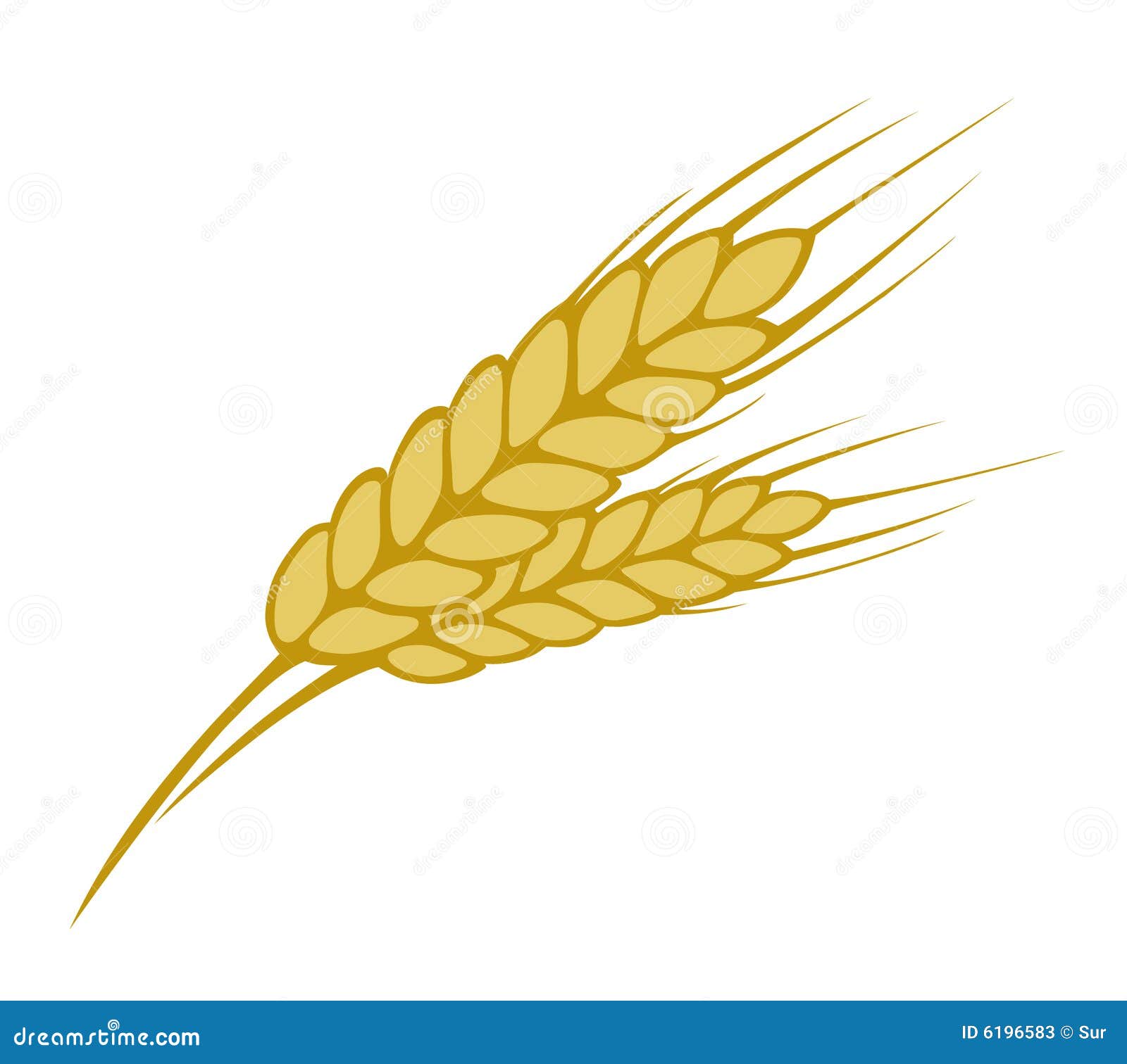 Tarwe vector illustratie. Illustration of dankzegging - 6196583