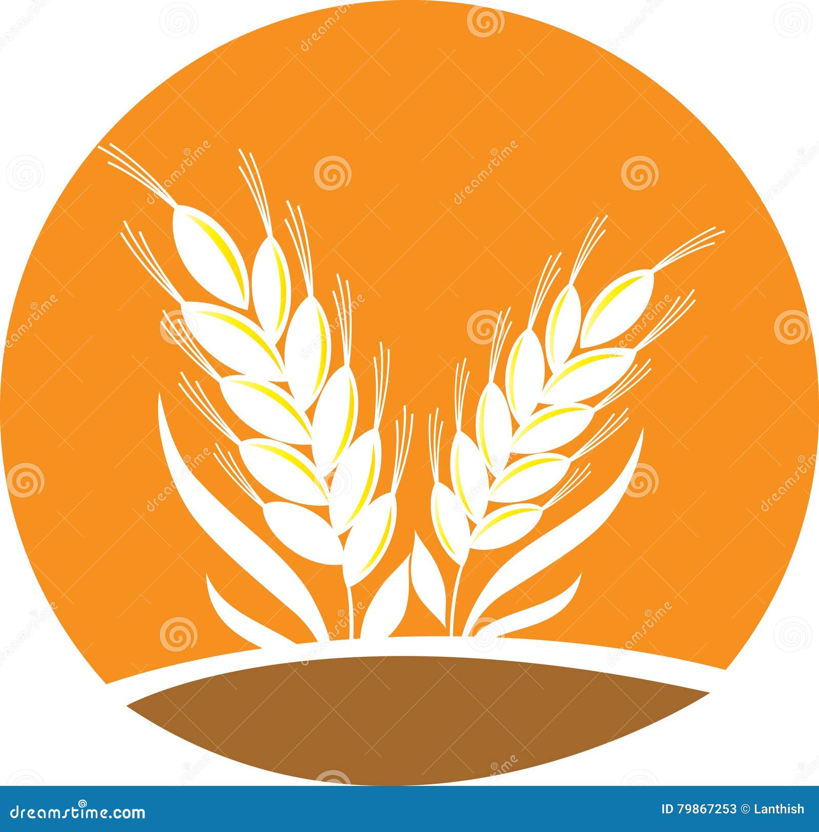 Tarwe vector illustratie. Illustration of vuurtoren, gebied - 79867253