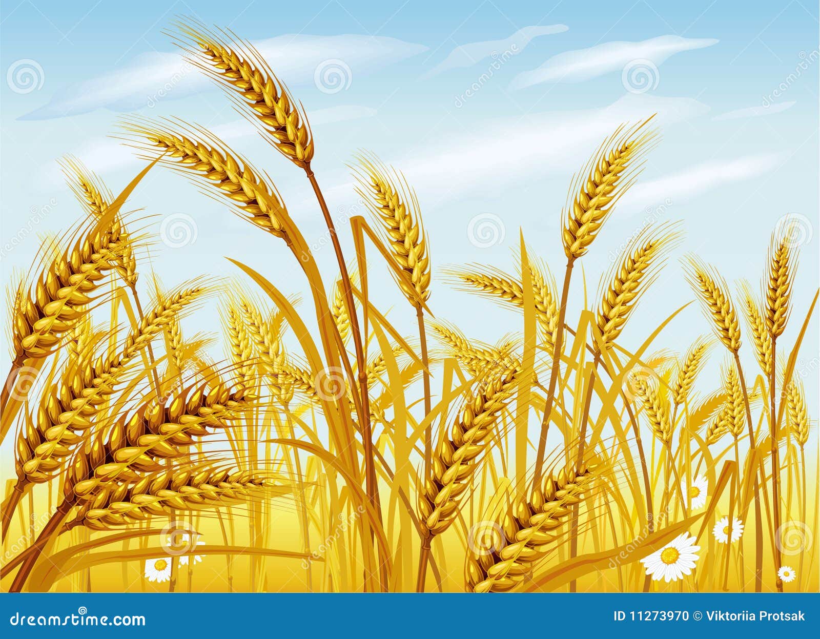 Tarwe op het gebied vector illustratie. Illustration of brood - 11273970