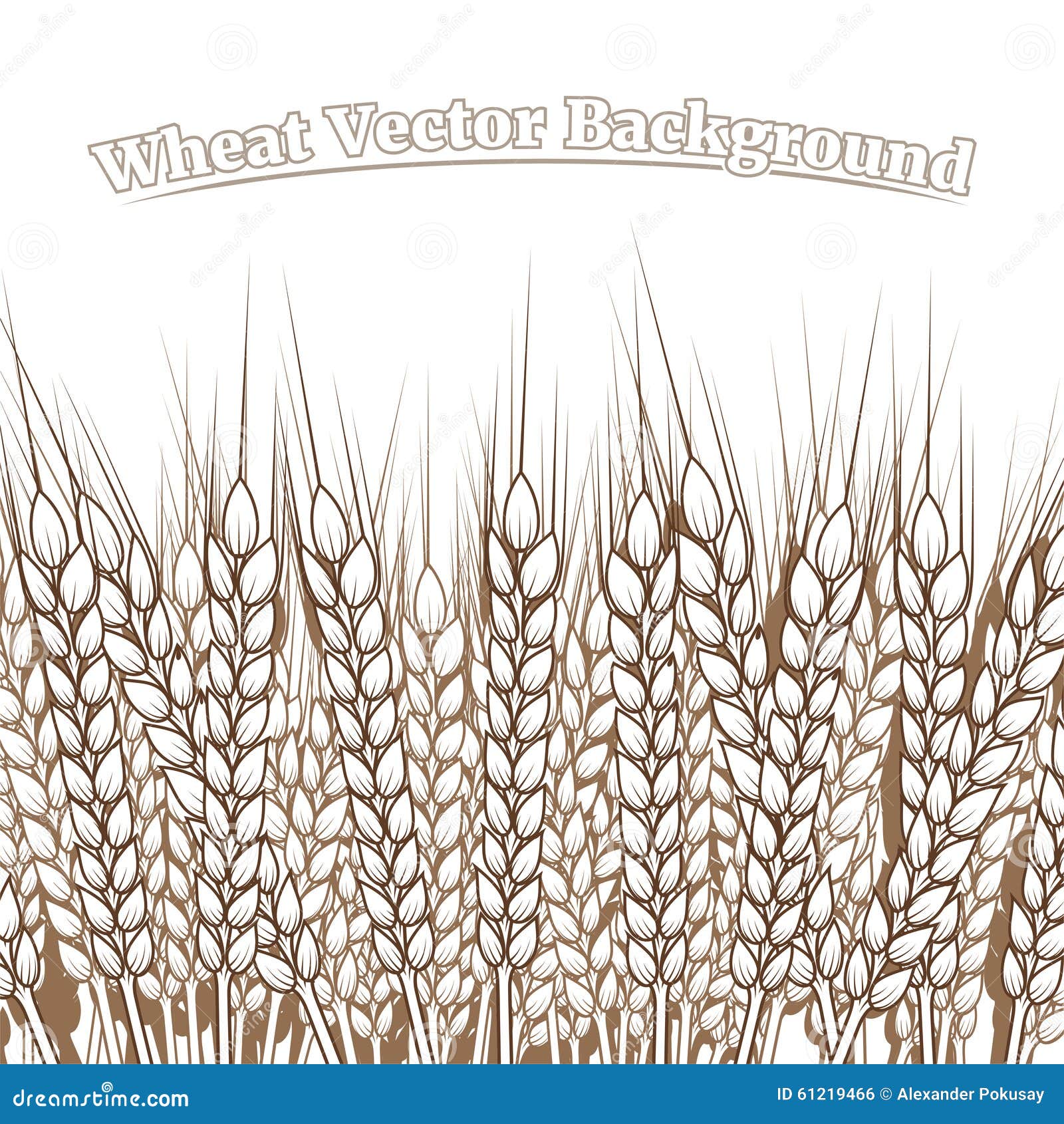 Tarwe vectorachtergrond vector illustratie. Illustration of ...