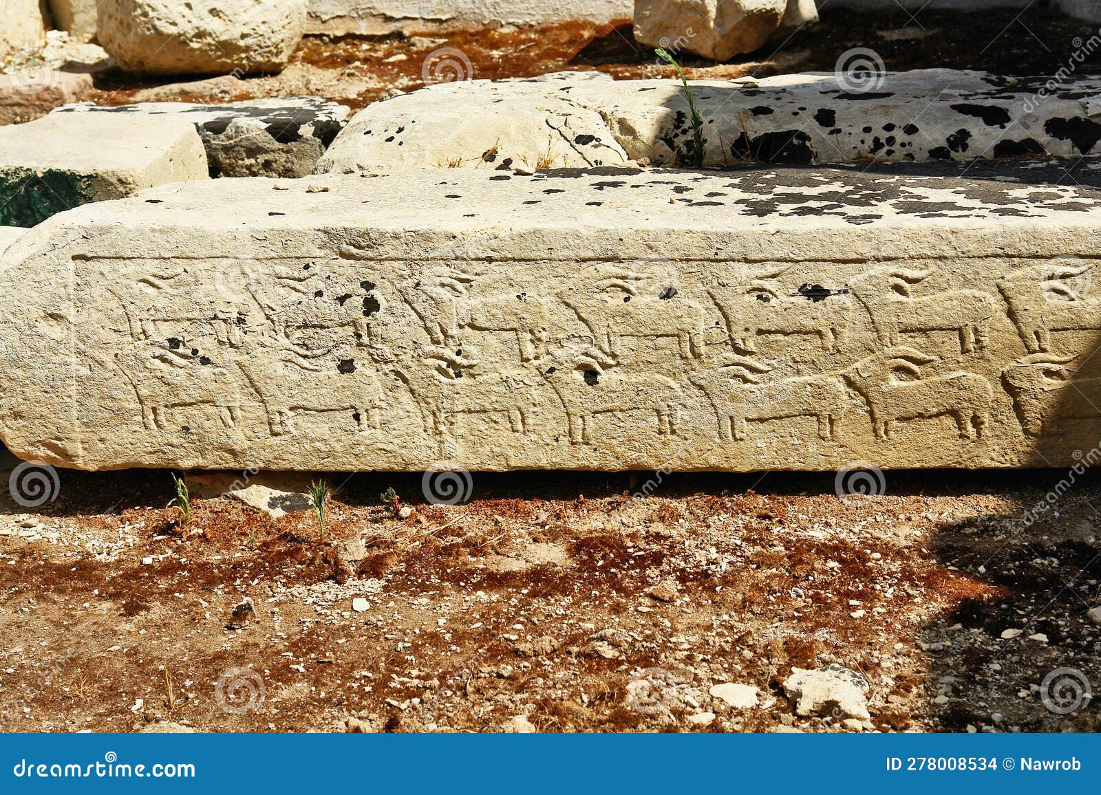 The Tarxien Temples stock photo. Image of architecture - 278008534