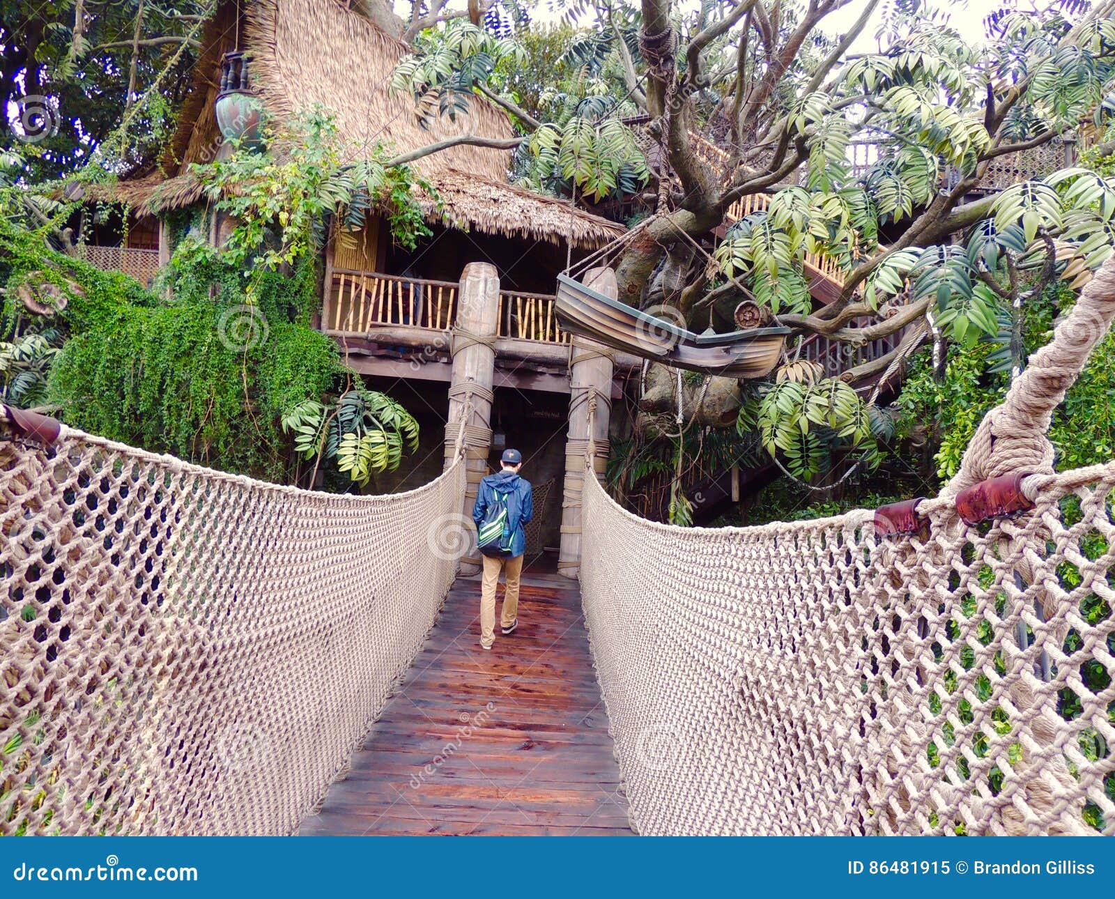 Tarzan& X27;s Treehouse Editorial Image - Image of tarzan, nikon: 86481915