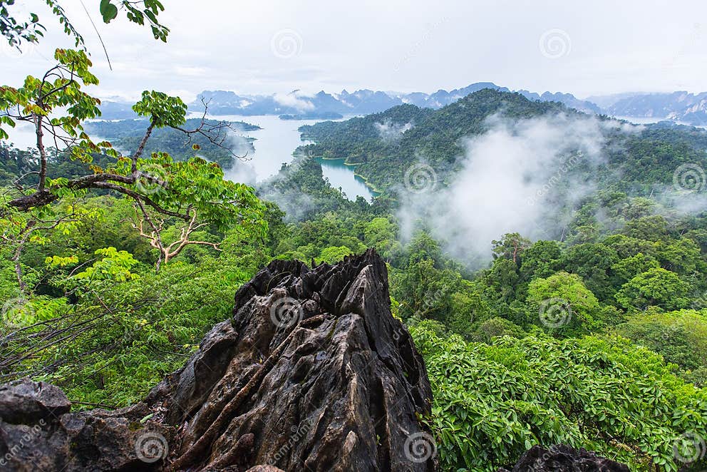 Tarzan View Point stock photo. Image of nature, landscape - 57208926