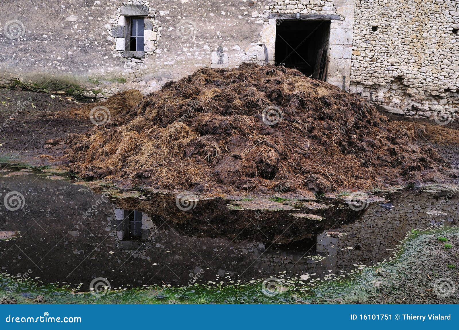 Tas de fumier stock image. Image of smell, fertilizer - 16101751