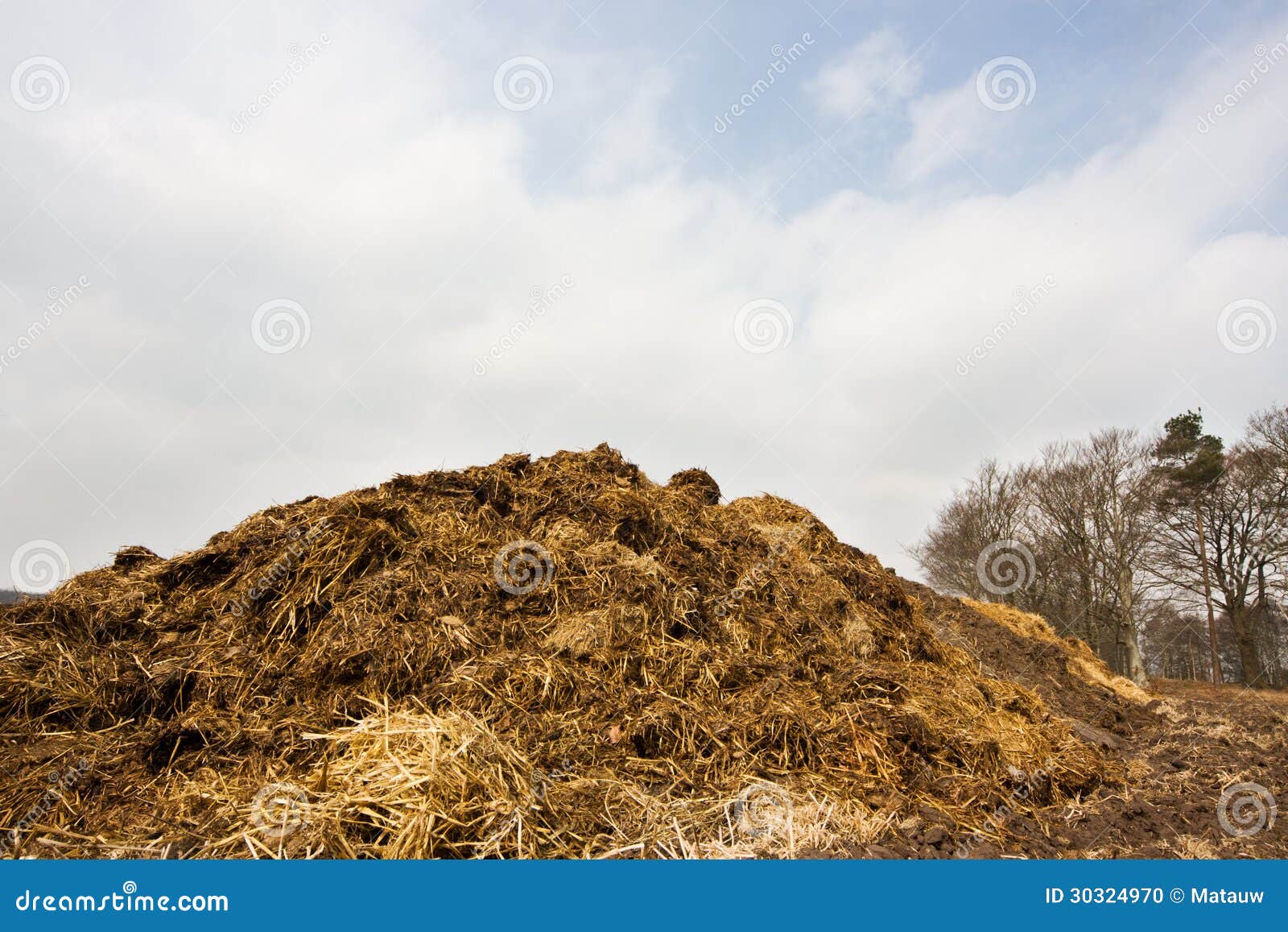 Tas de fumier photo stock. Image du fumier, matériau - 30324970