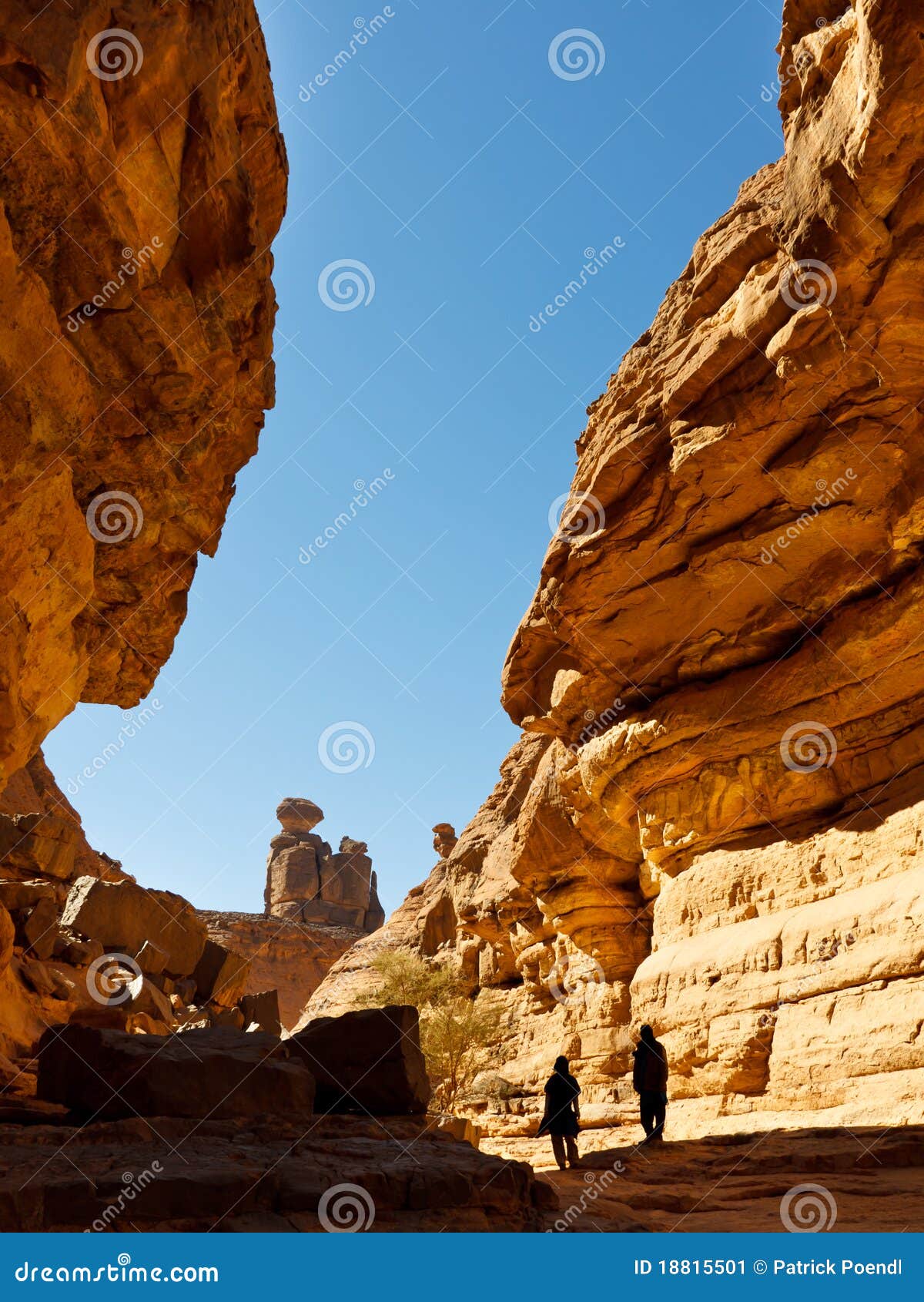 Tashwinet Gorge, Akakus (Acacus) Mountains, Sahara Stock Image - Image ...