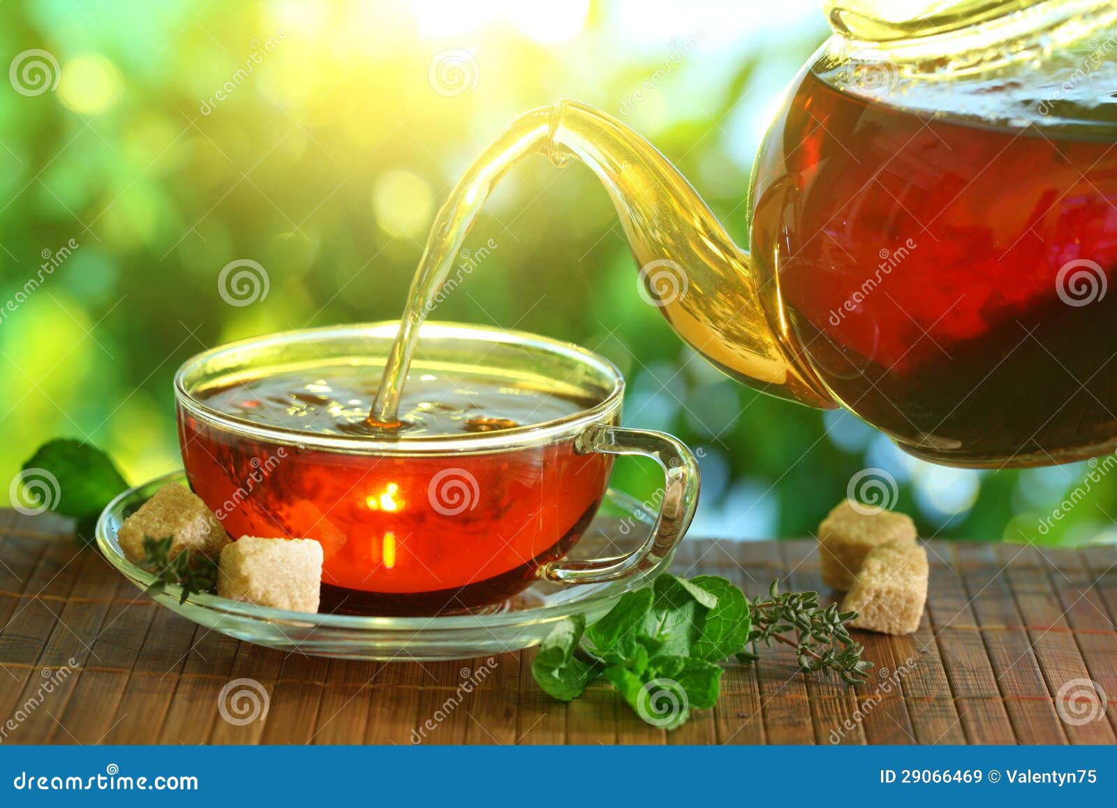 Tasse Tee und Teekanne. stockbild. Bild von organisch - 29066469