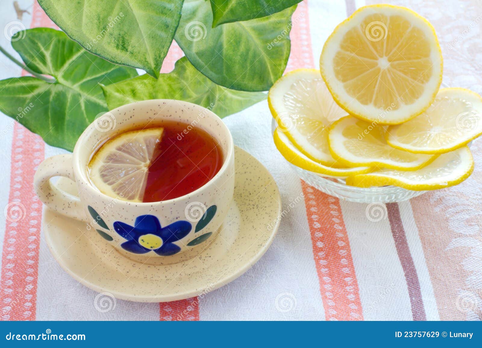 Tasse Tee und Zitrone stockbild. Bild von ruhe, kraut - 23757629