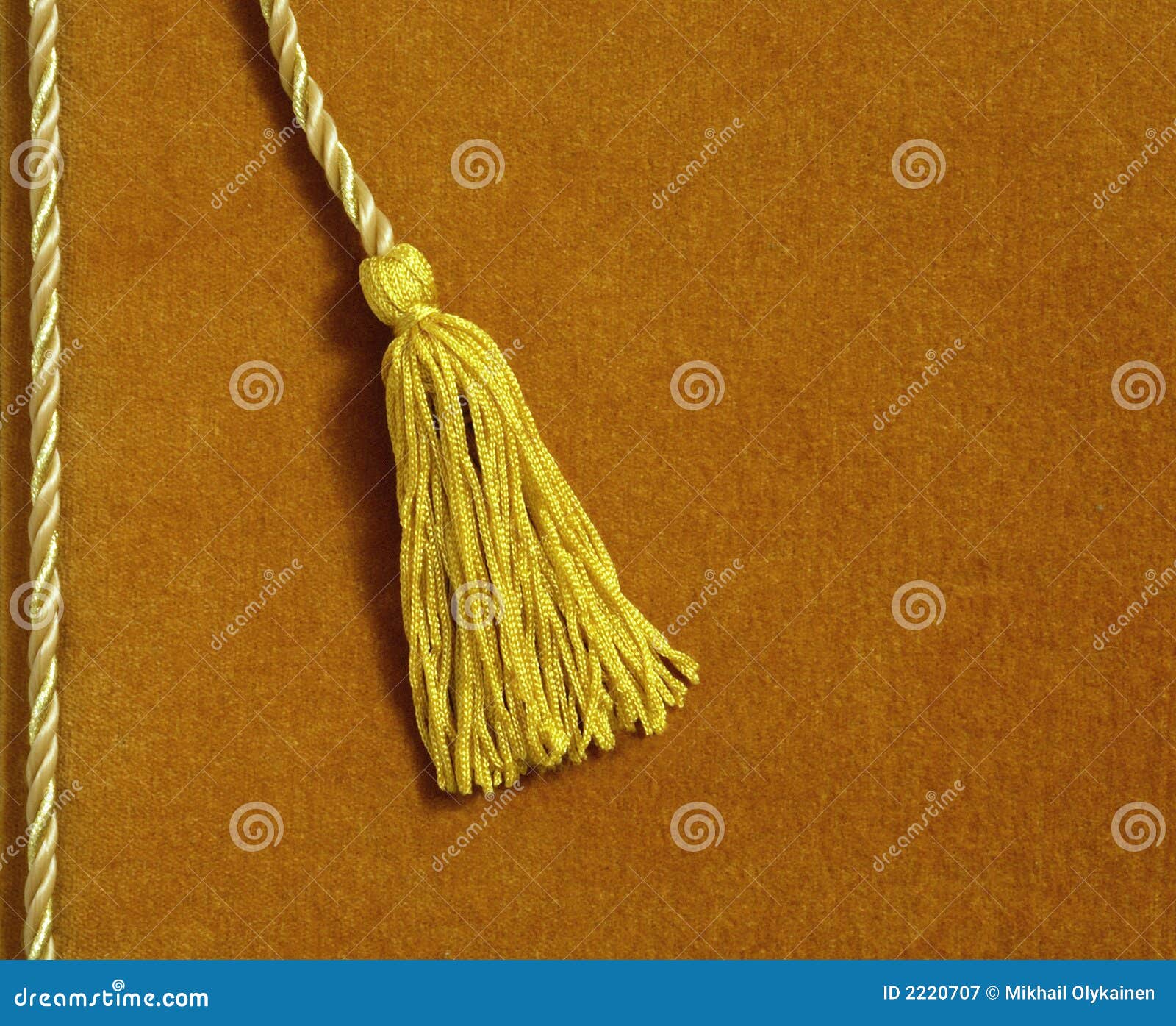 Tassel stock image. Image of texture, soft, yellow, album - 2220707