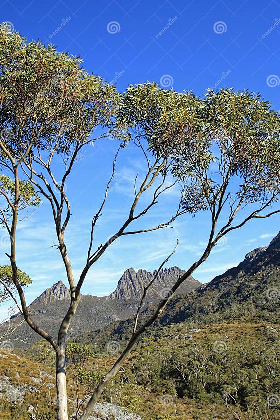 Tassy cradle mountain stock image. Image of tasmania - 48116135