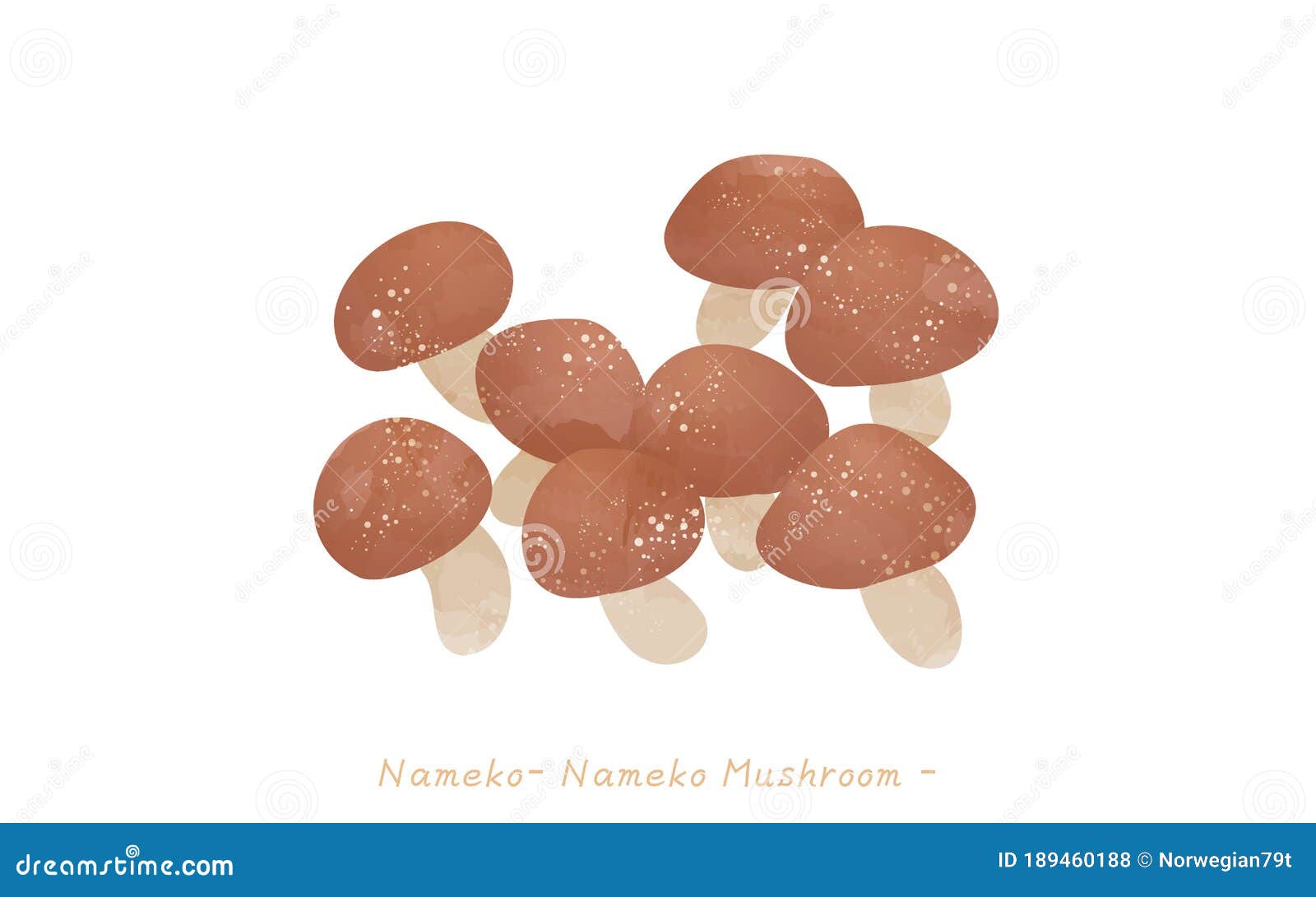 Nameko Cartoons, Illustrations & Vector Stock Images - 35 Pictures to ...