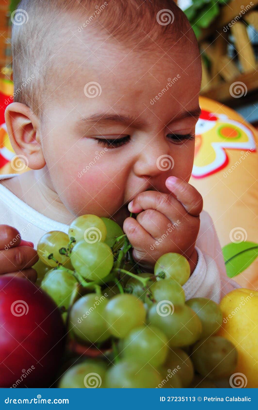Taste of the grapes stock image. Image of baby, taste - 27235113